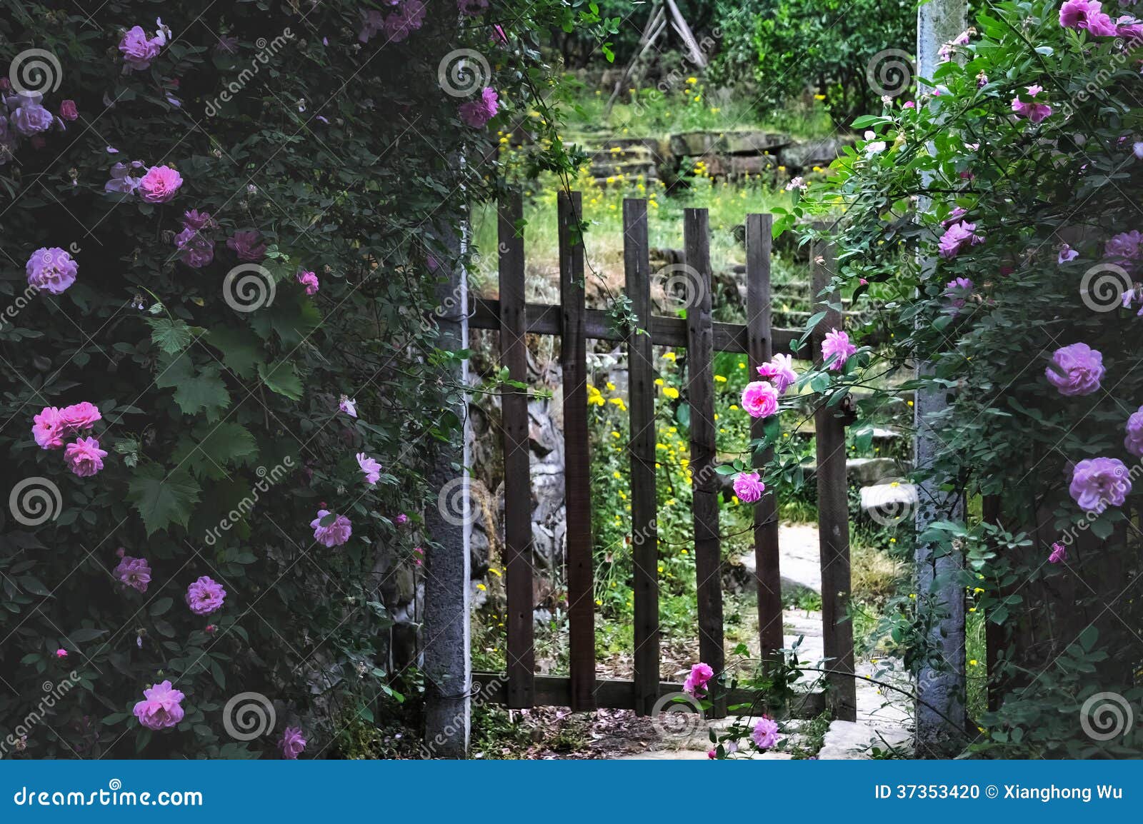184 Bumper Gate Stock Photos - Free & Royalty-Free Stock Photos from ...