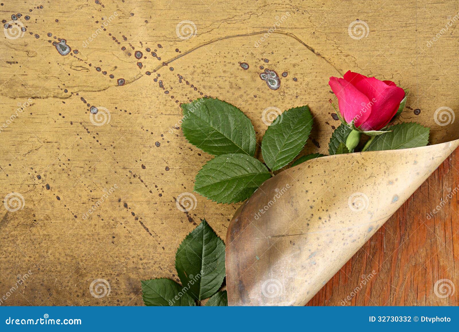 Rose Stock Photography | CartoonDealer.com #32730332