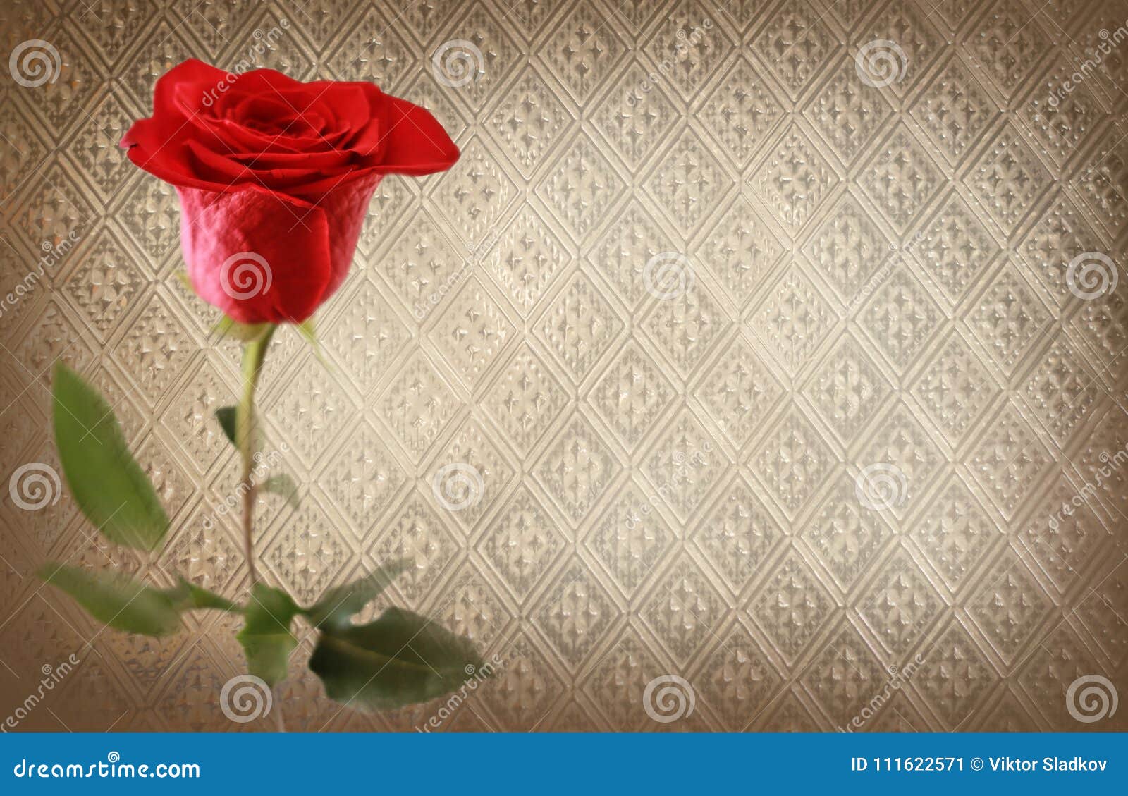 Rose background for design stock image. Image of invitation - 111622571