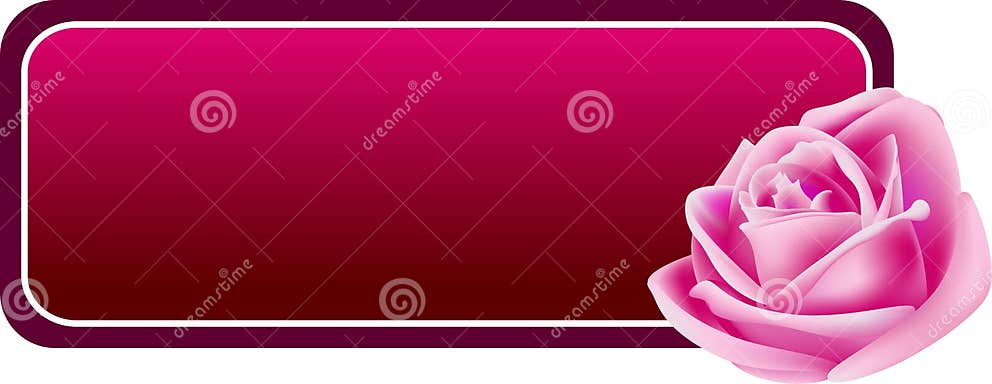 Rose Banner stock vector. Illustration of plant, rose - 20781396