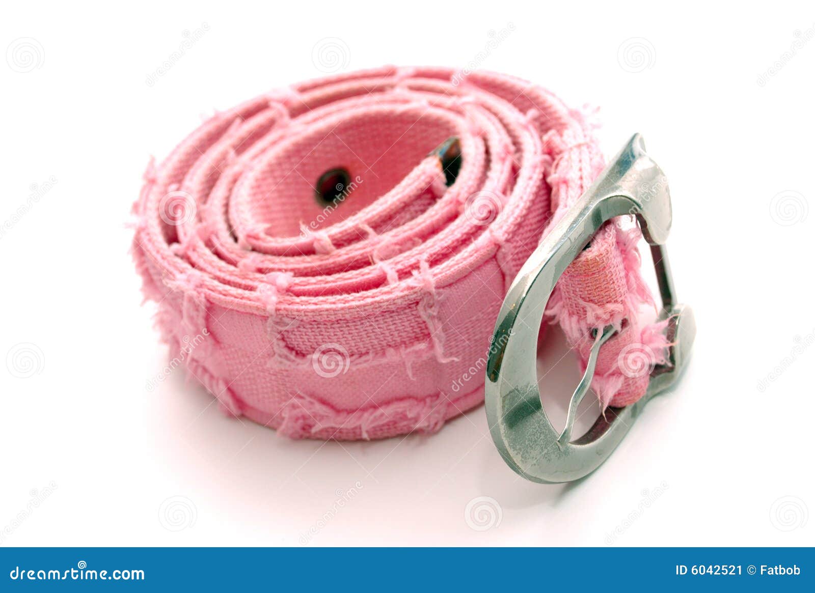 Rose belt stock image. Image of belts, leather, elegance - 6042521