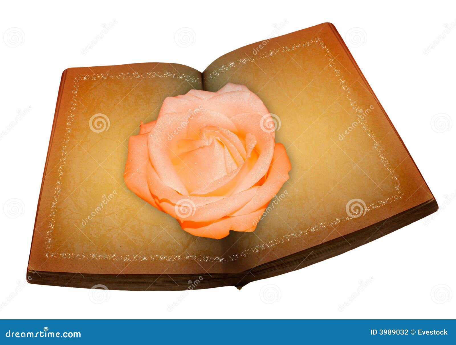 Rose on Book stock illustration. Illustration of abstract - 3989032