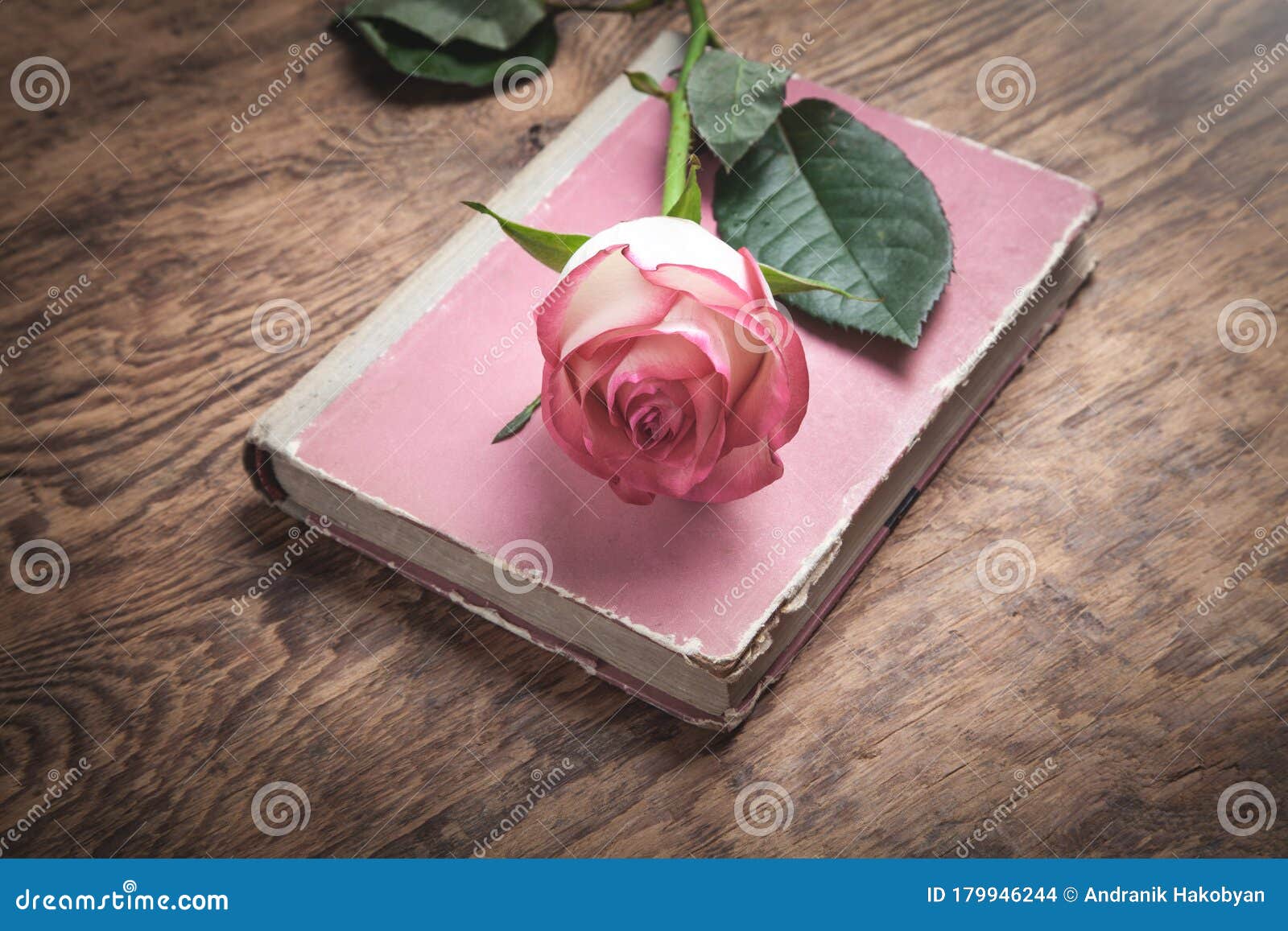 Rose and Book on the Wooden Background Stock Photo - Image of page ...