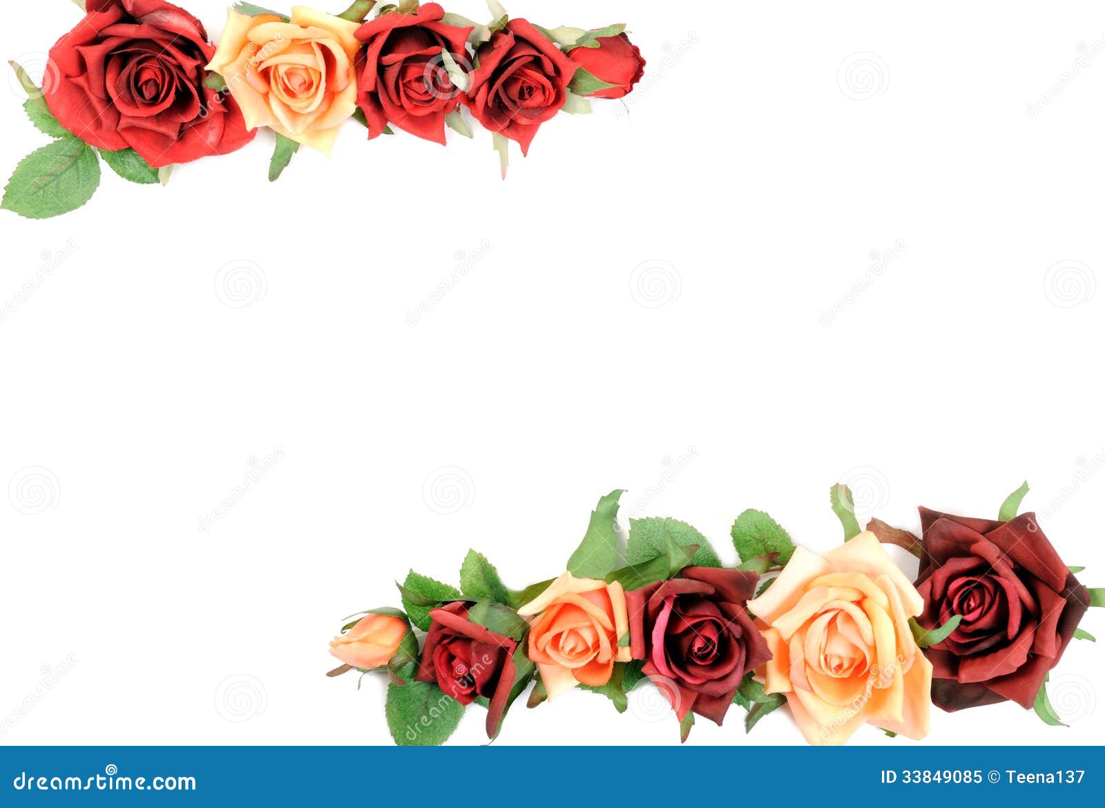 Rose border stock image. Image of fresh, christmas, frame - 33849085