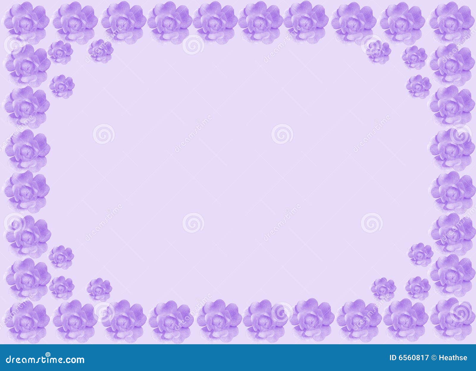 Rose border lavender stock illustration. Illustration of gardens - 6560817