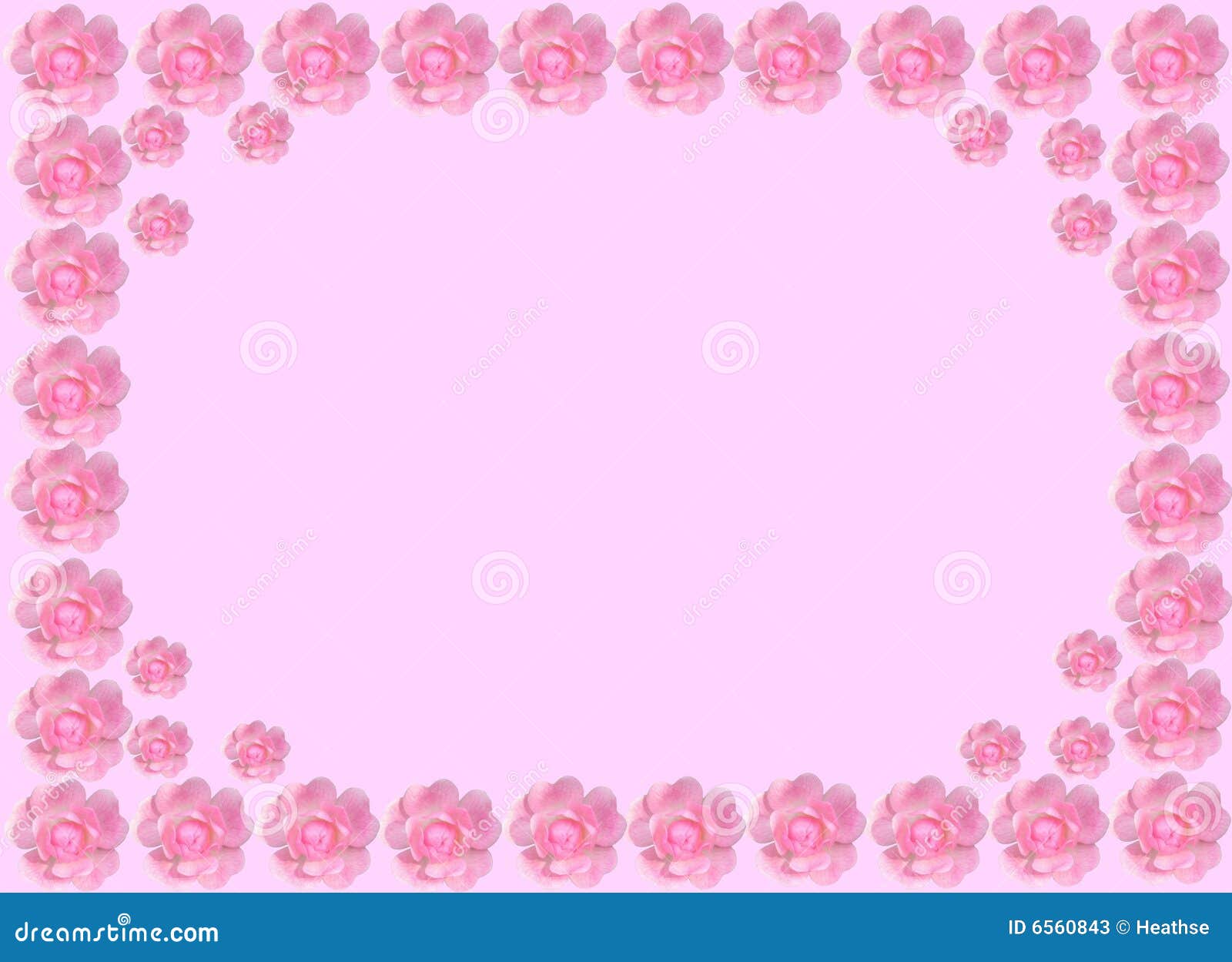 Rose border pink stock illustration. Illustration of border - 6560843