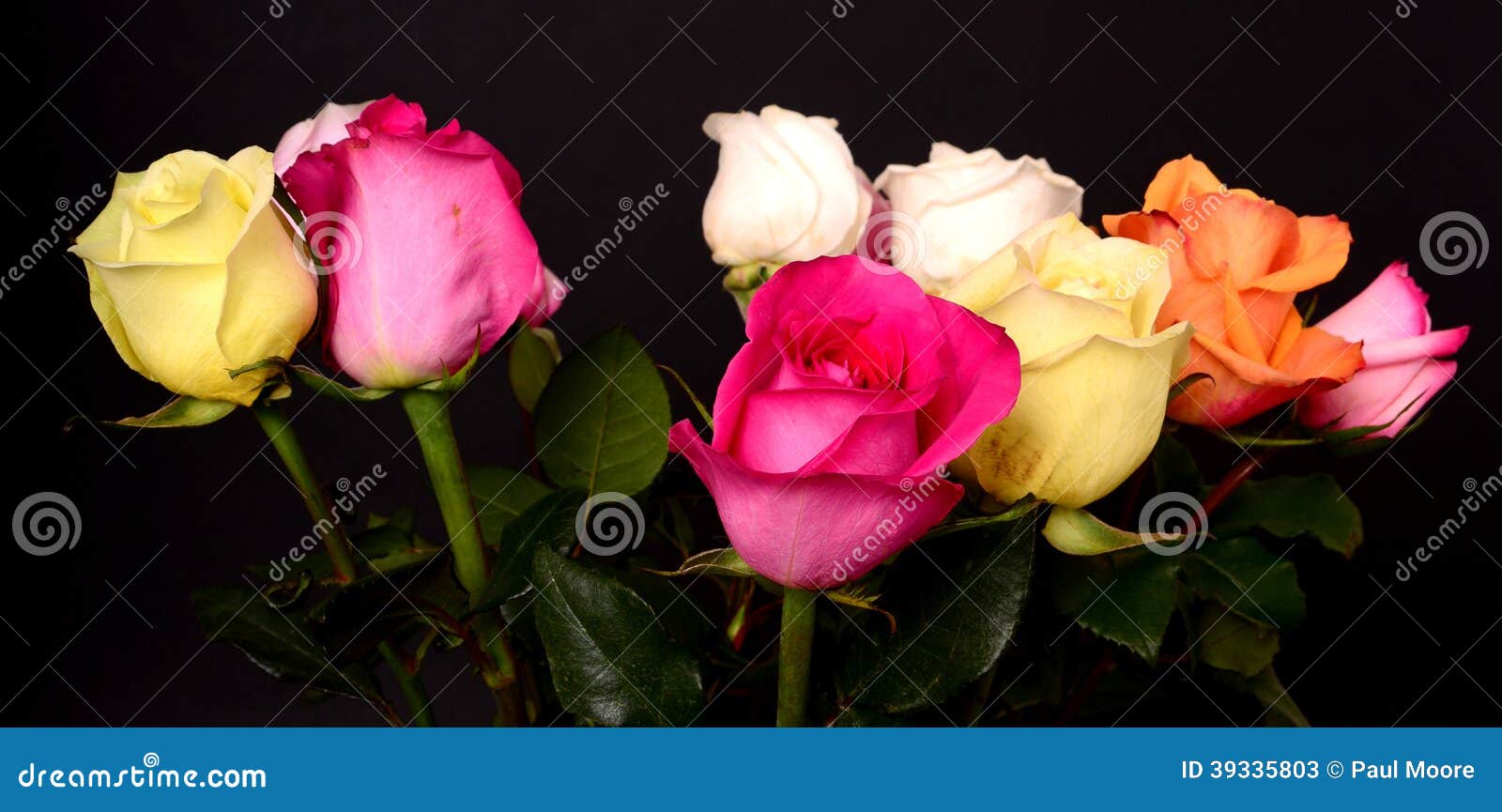 Rose Bouquest imagen de archivo. Imagen de macro, selectivo - 39335803