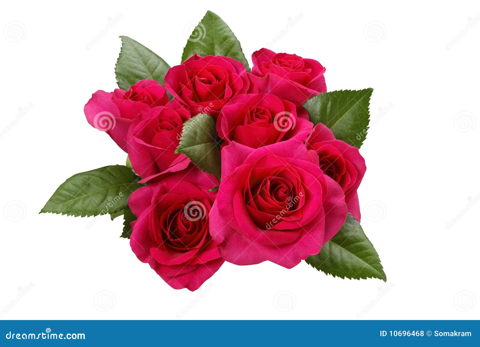 Rose Bouquet stock photo. Image of bouquet, love, marriage - 10696468