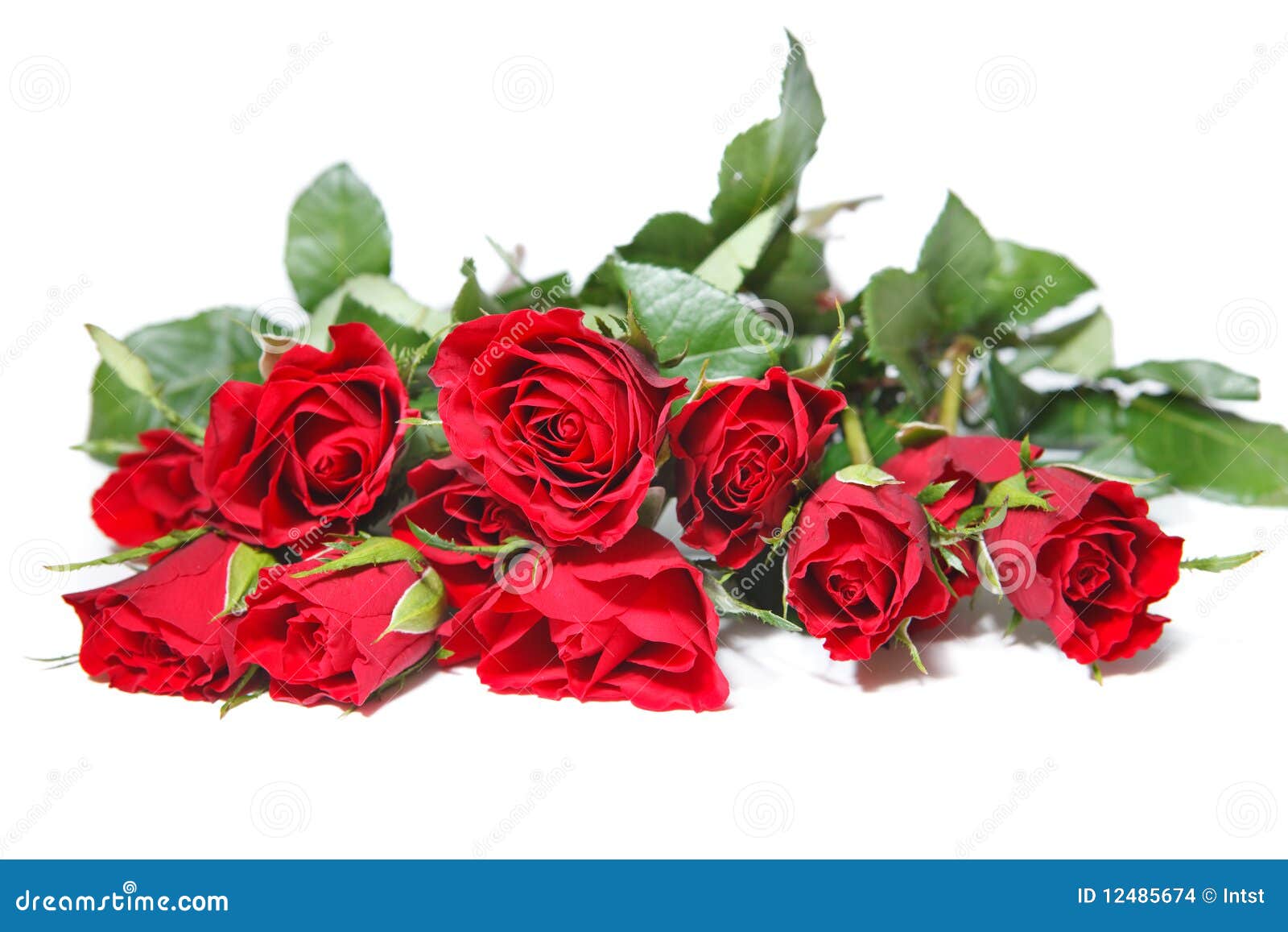 Red Rose Bouquet Stock Photography | CartoonDealer.com #54381422