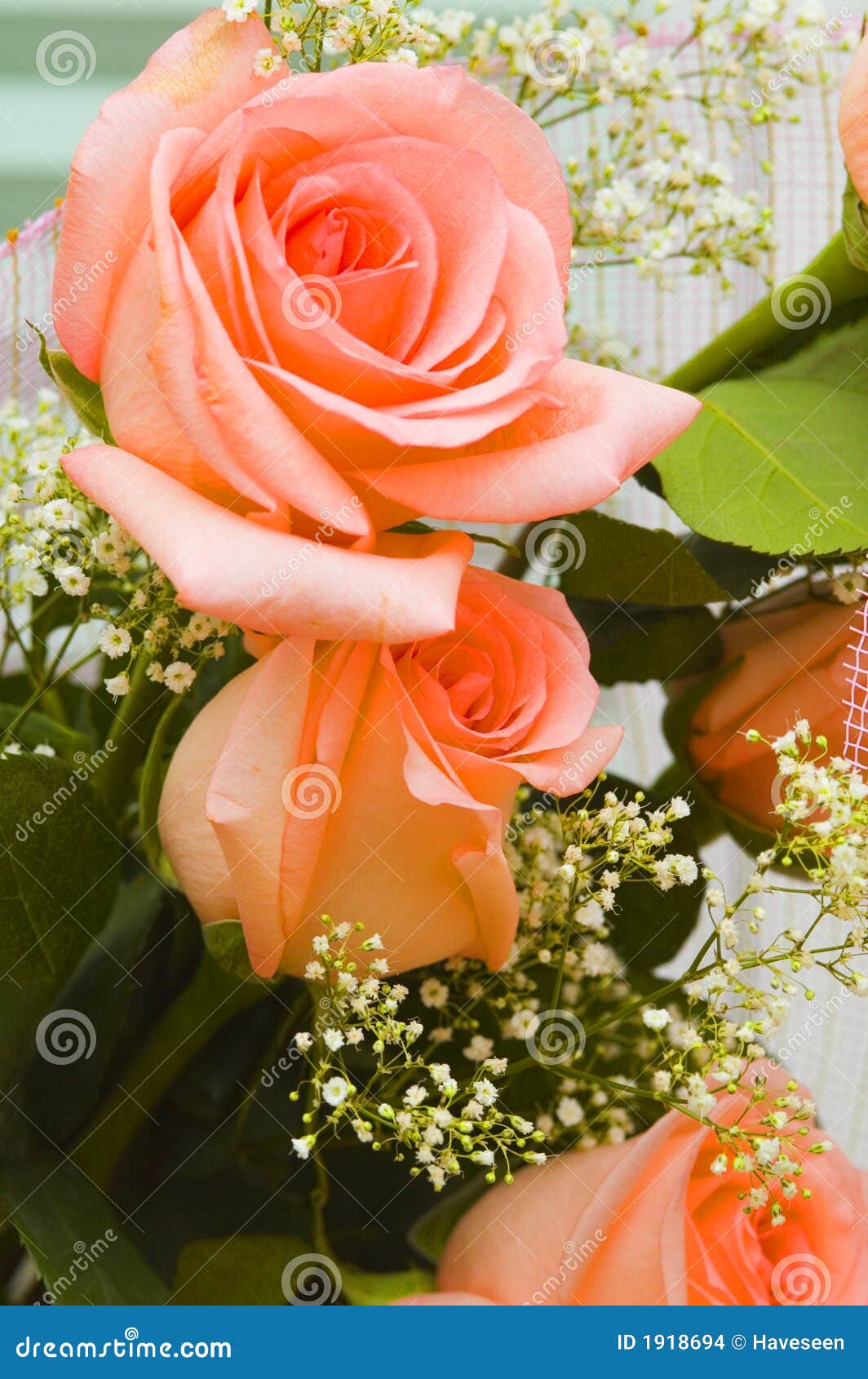 Rose bouquet stock photo. Image of petals, beauty, blossom - 1918694