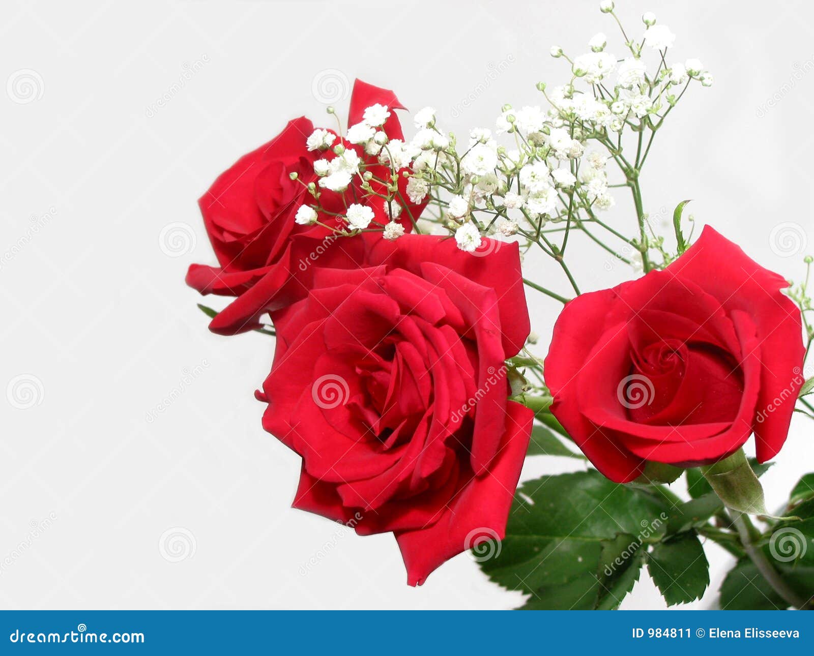 5,708 Three Rose Bouquet Stock Photos - Free & Royalty-Free Stock ...