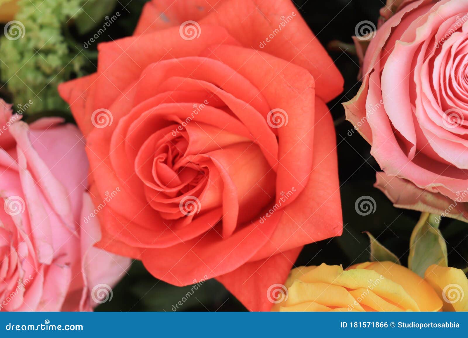 Rose Bouquet in Bright Colors Stock Photo - Image of flower, green ...