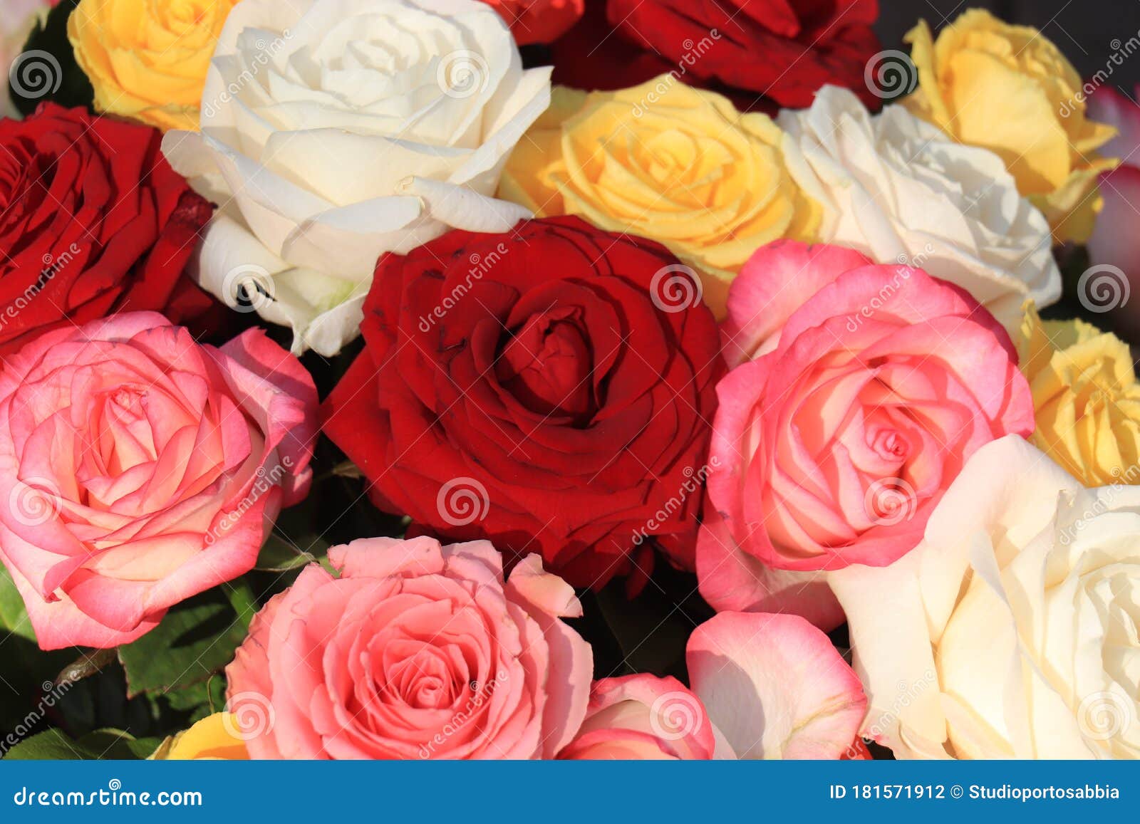 Rose Bouquet in Bright Colors Stock Photo - Image of pink, florist ...