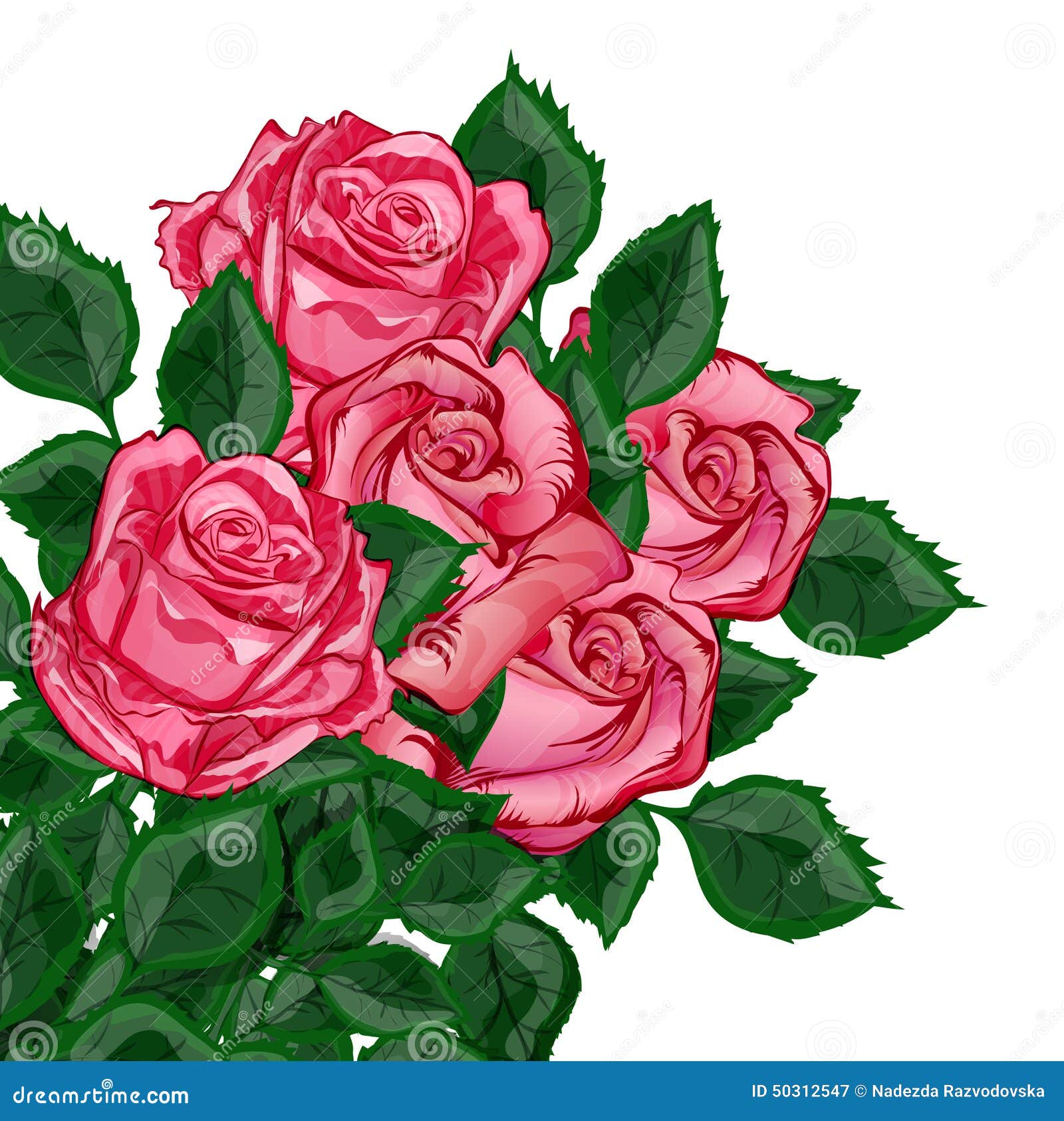 Rose Bouquet stock vector. Illustration of bouquet, floral - 50312547