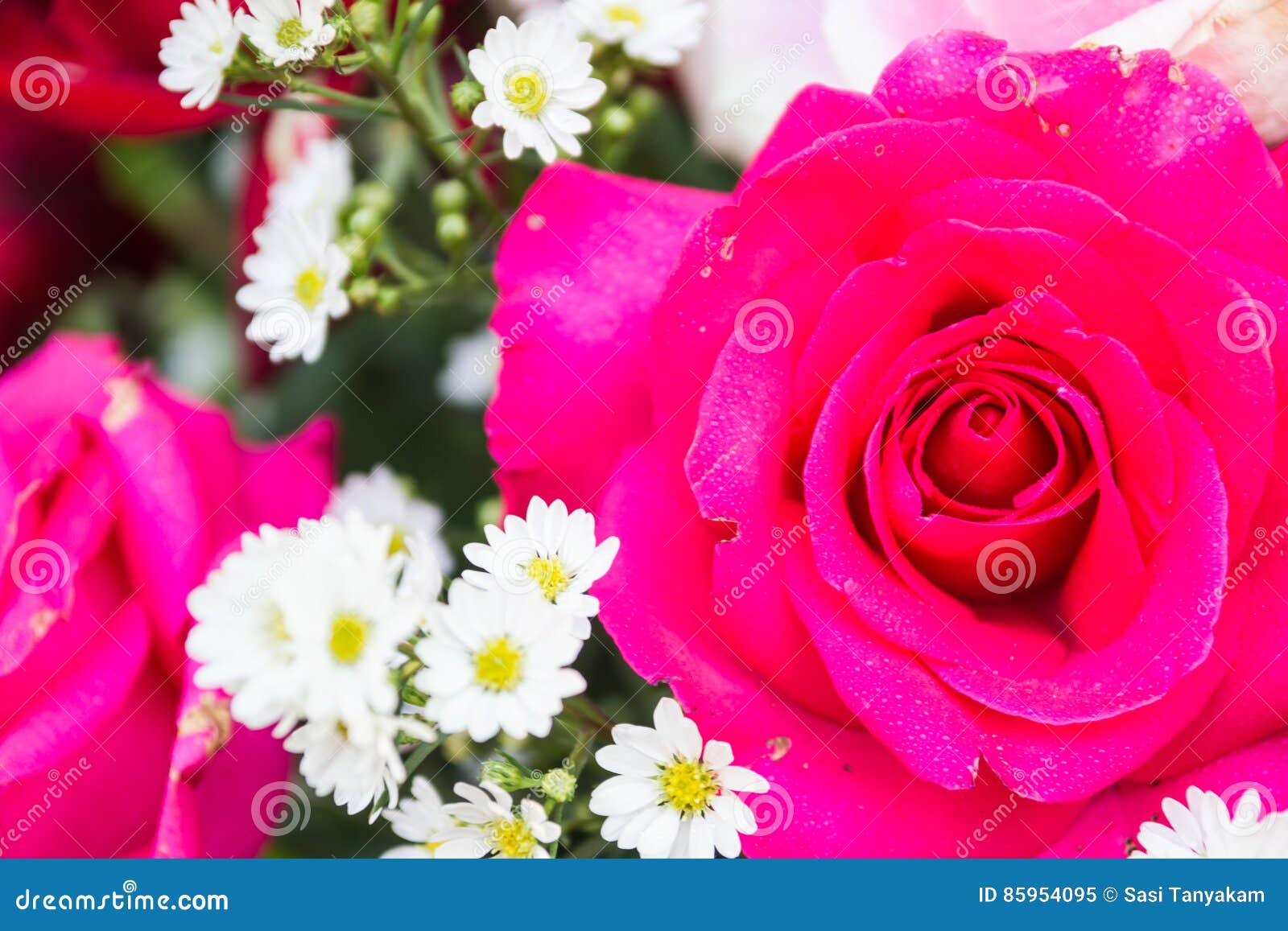 Rose Bouquet Using in Wedding Ceremony Side Perspective Stock Image ...