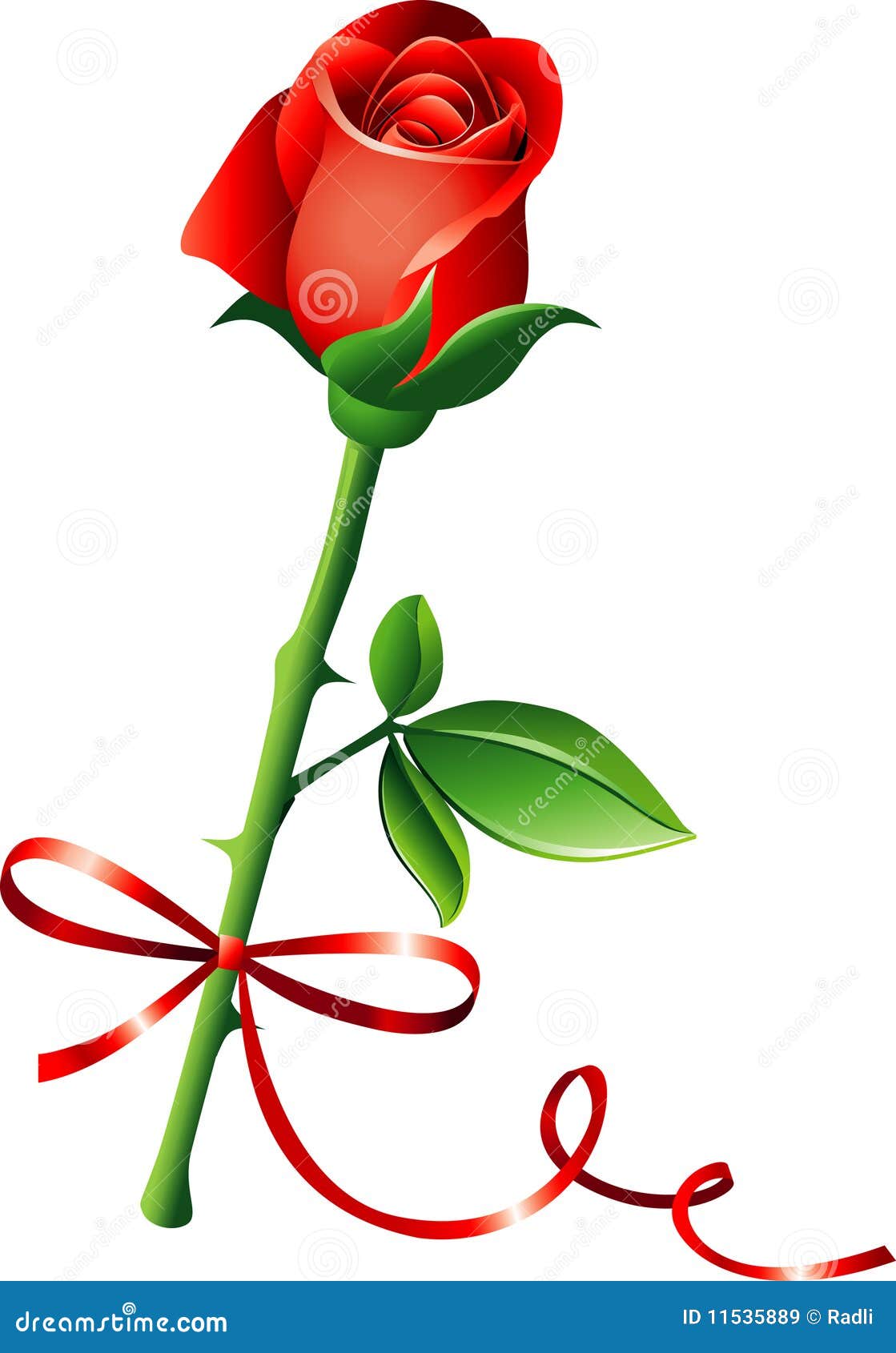 Rose with bow stock vector. Illustration of bright, decoration - 11535889