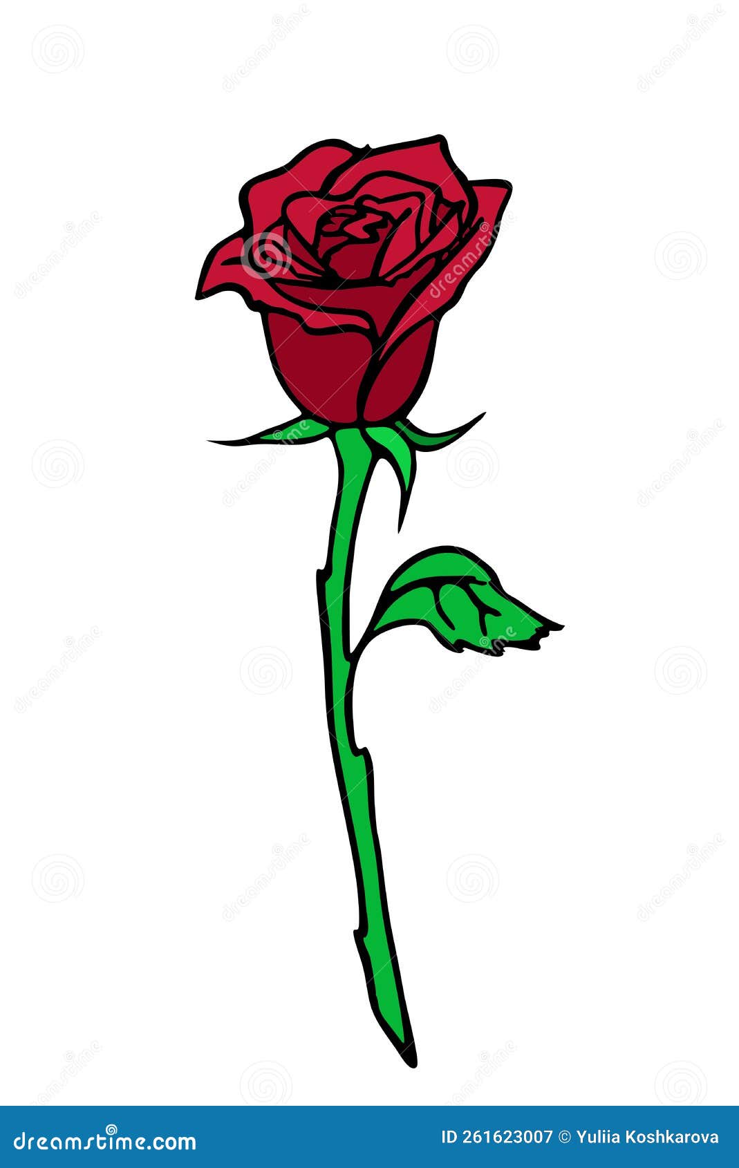 Rose Branch Drawing with Red Flower and Leaves, Isolated Element Stock ...