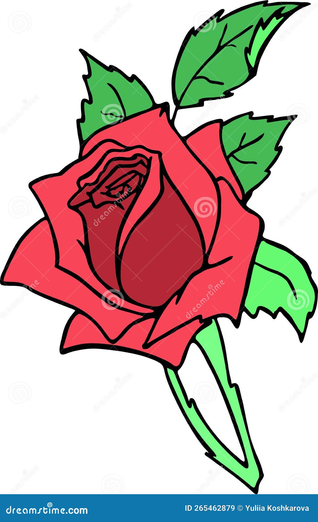 Rose Branch Drawing with Red Flower and Leaves, Isolated Element Stock ...
