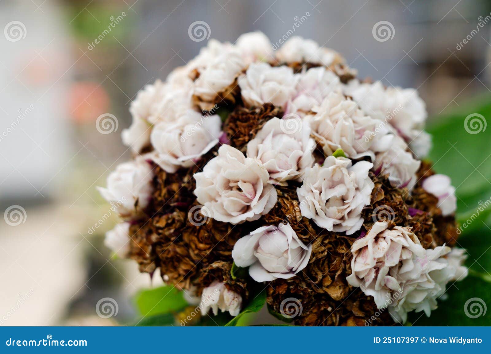 Rose bucket stock image. Image of bouquet, event, party - 25107397