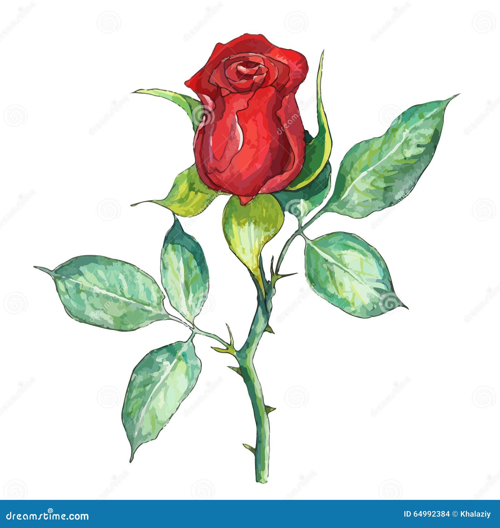 Rose bud stock vector. Illustration of green, floristic - 64992384