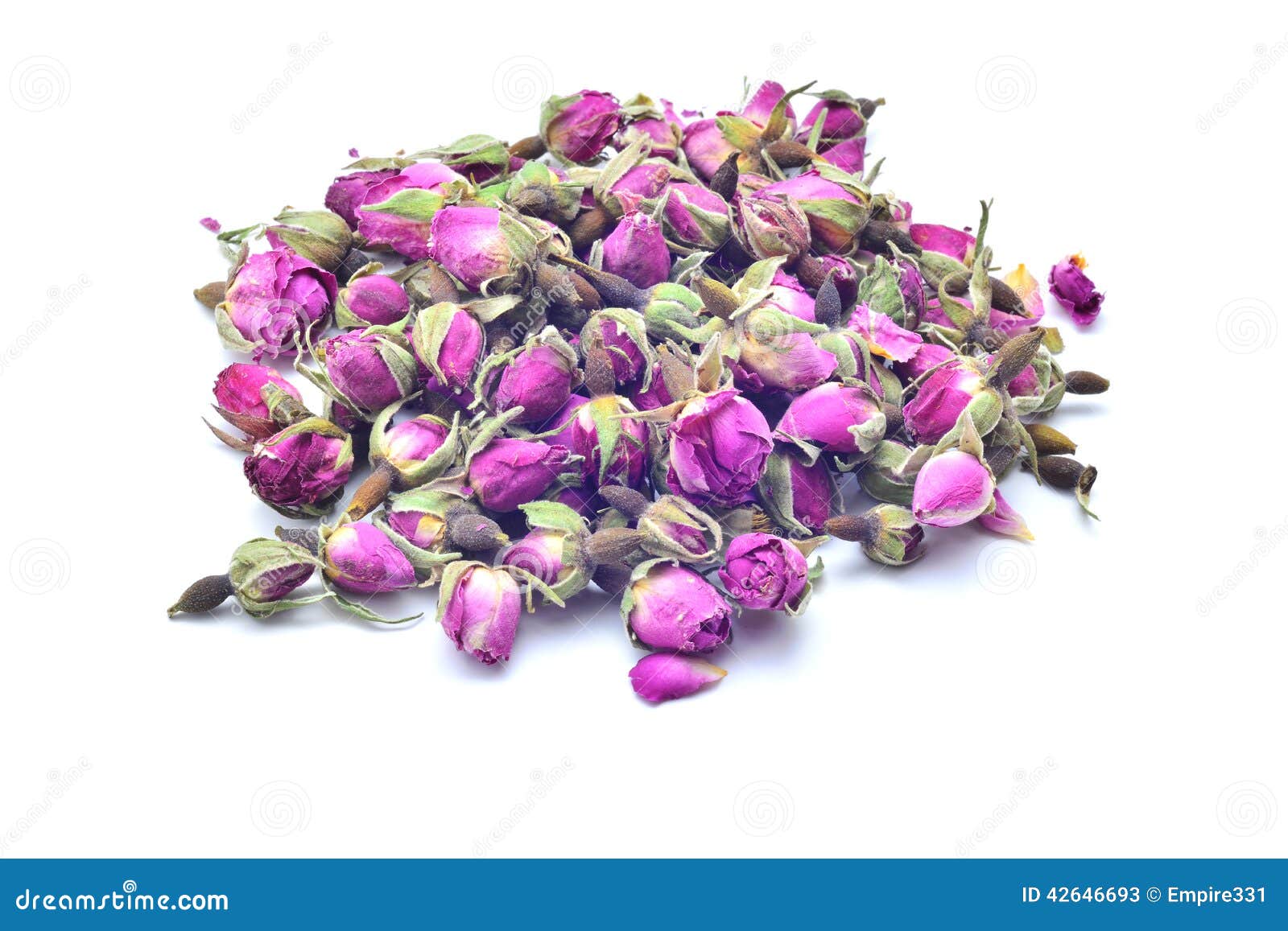 Rose Buds And Newly Bloomed Roses Stock Photo | CartoonDealer.com ...