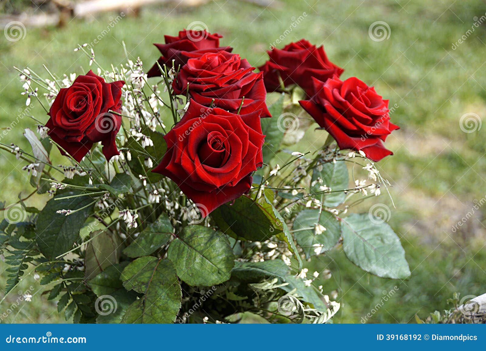 Rose bunch stock photo. Image of valentinesday, rose - 39168192