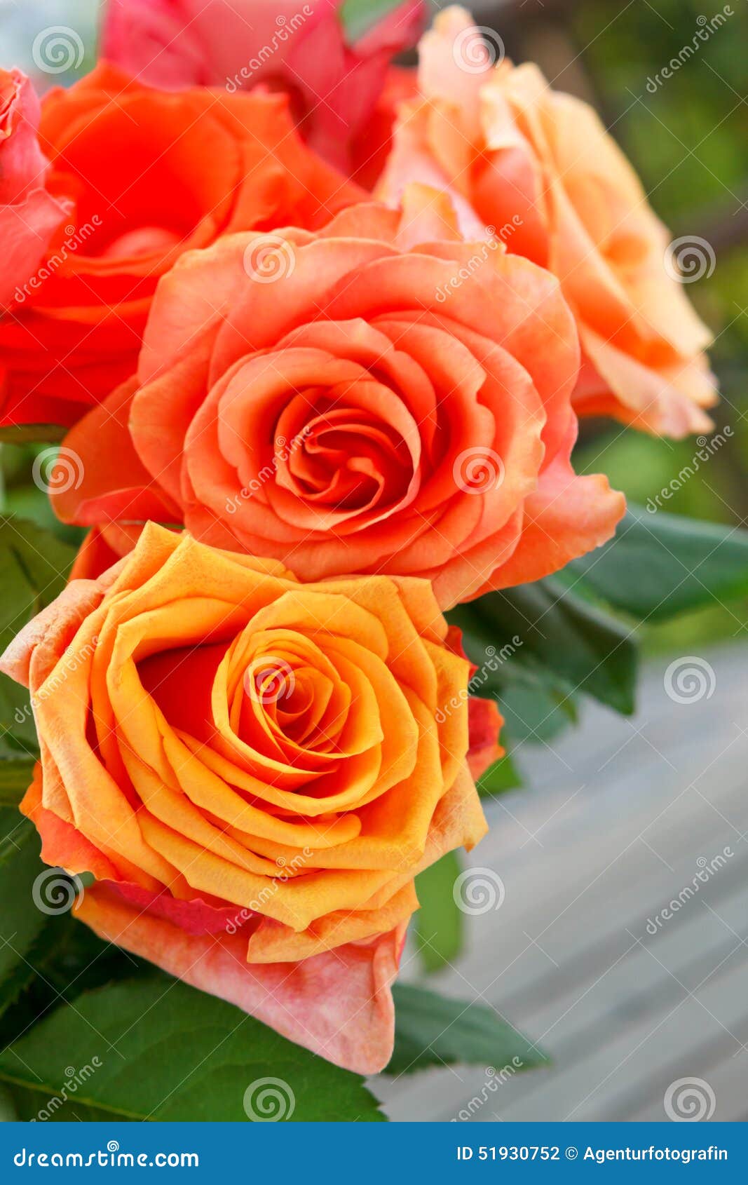 Rose Bunch Yellow Orange Red Stock Photo - Image of green, orange: 51930752