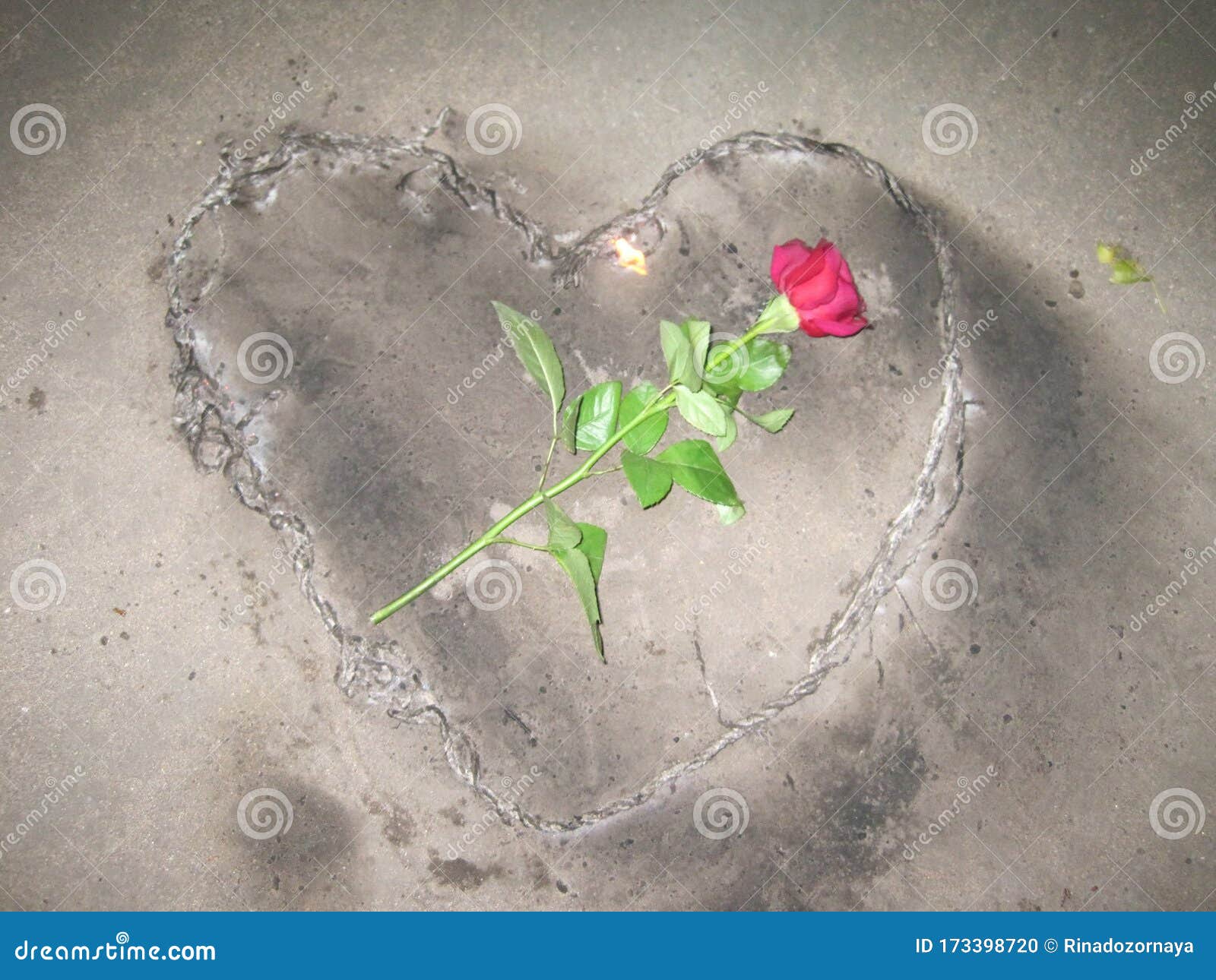 A rose in a burnt heart stock photo. Image of cinder - 173398720
