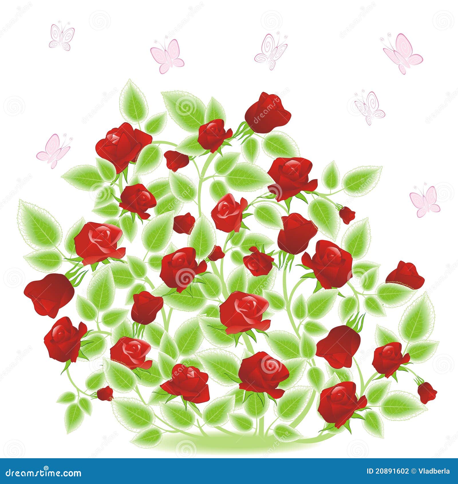 Rose bush with butterfly stock vector. Illustration of pattern - 20891602