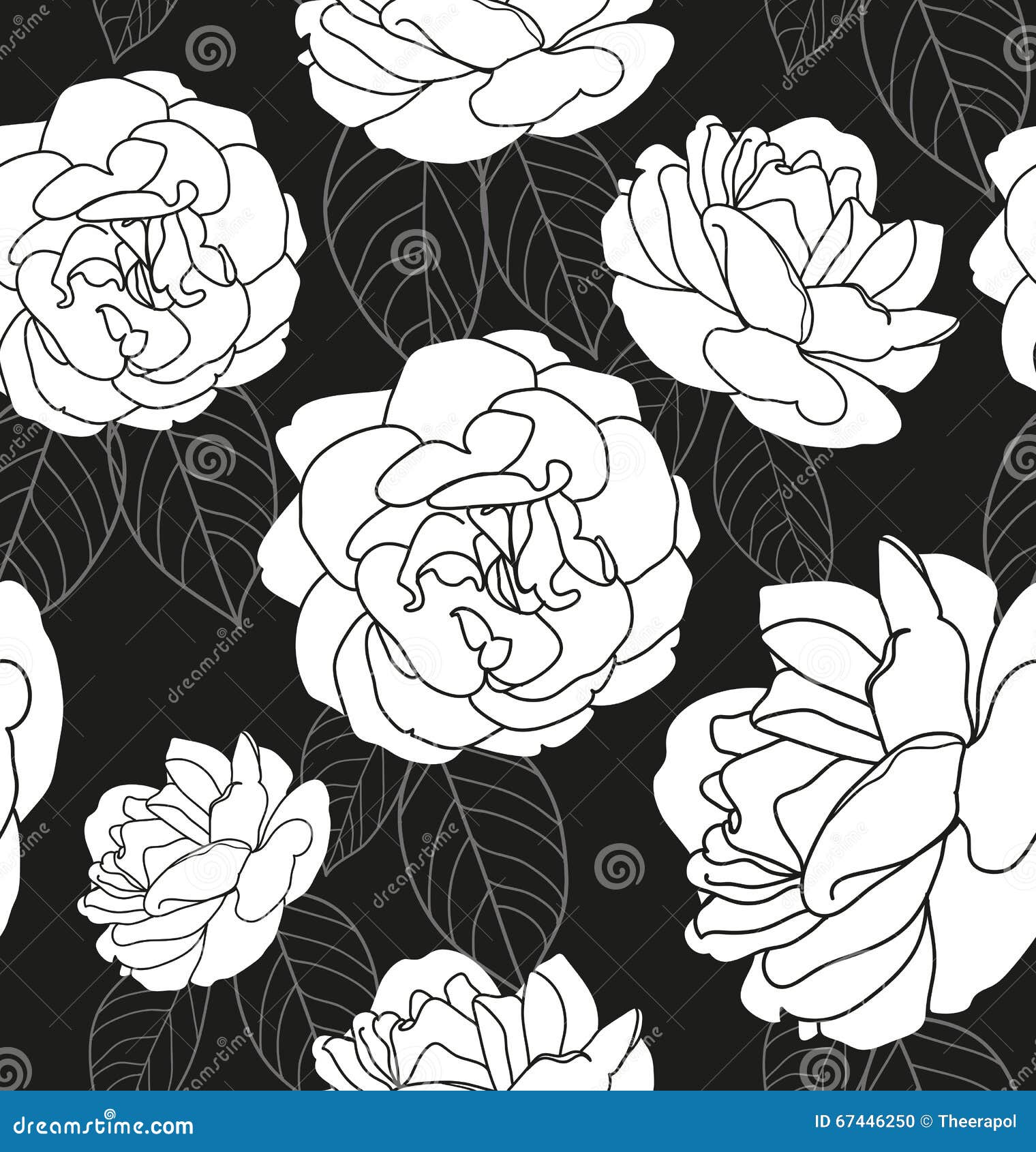 Rose bw stock illustration. Illustration of monochrome - 67446250