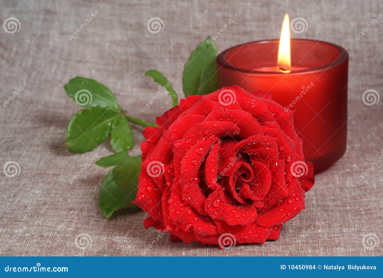 Rose and candle stock photo. Image of botany, beautiful - 10450984