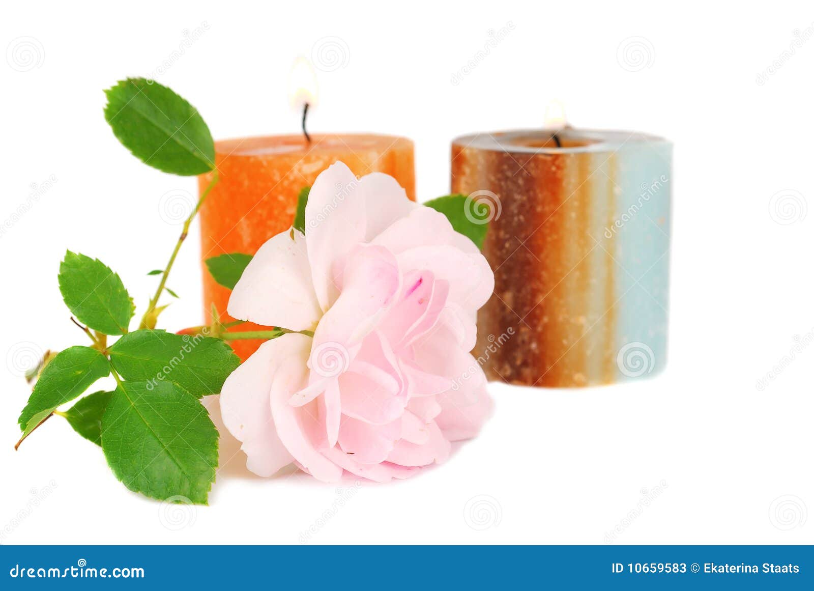 Rose and candles. stock image. Image of holiday, nature - 10659583