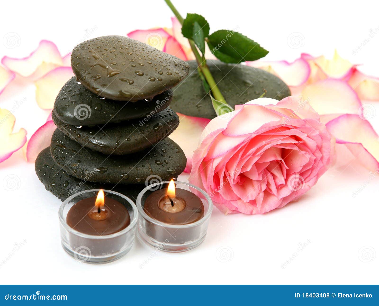 Rose and candles stock photo. Image of white, rose, tenderness - 18403408