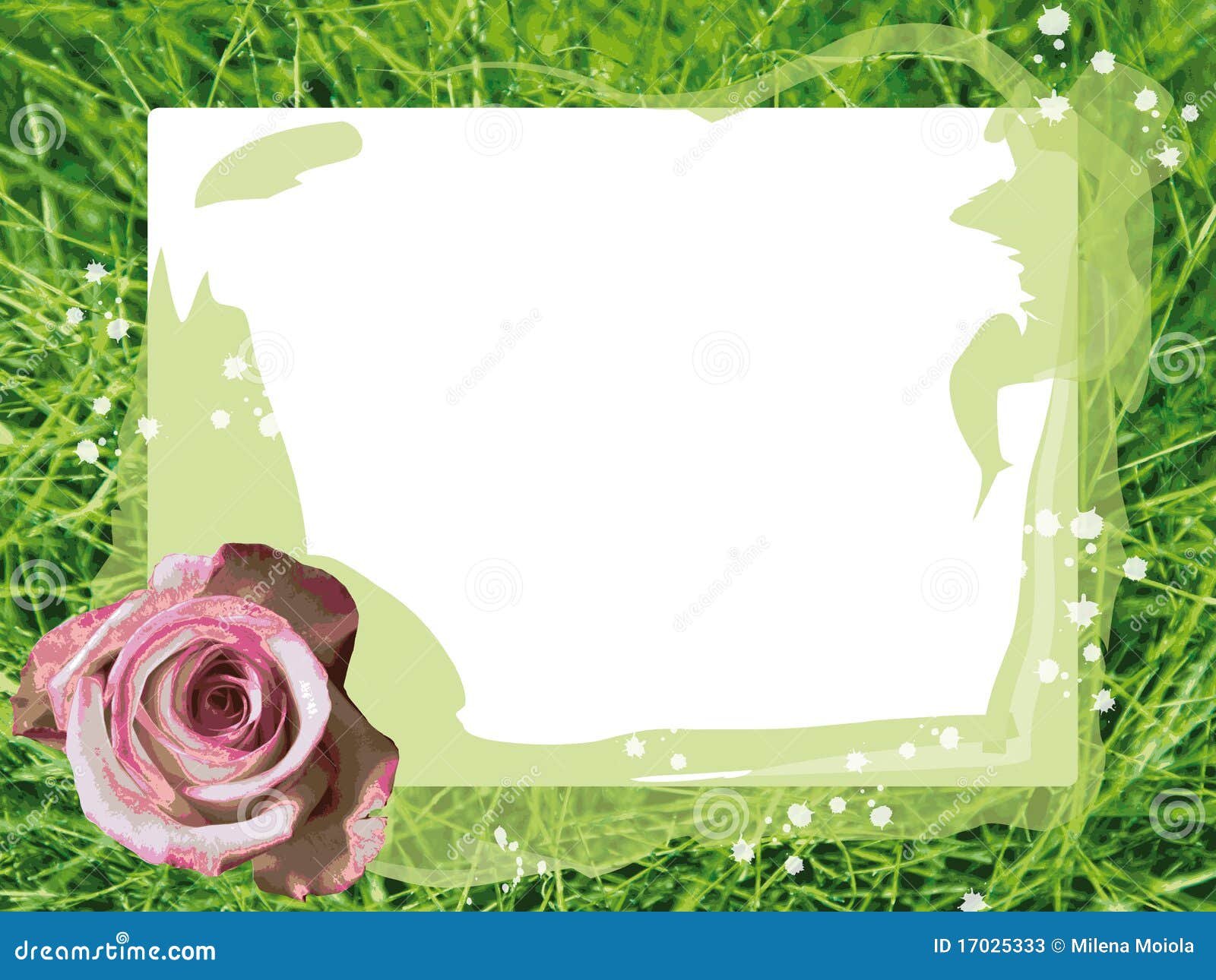 Rose card stock illustration. Illustration of invite - 17025333