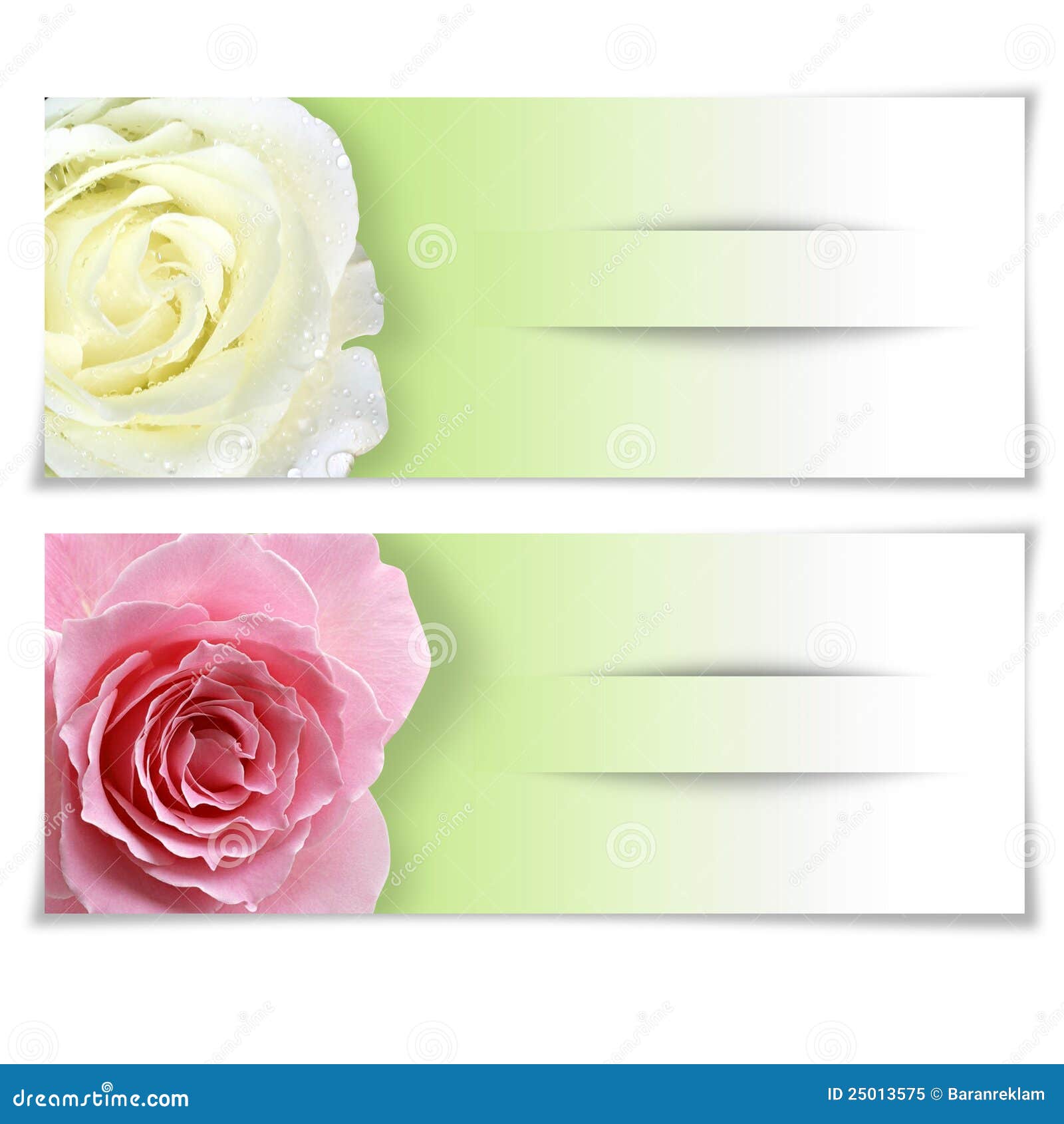 Rose card stock illustration. Illustration of couple - 25013575