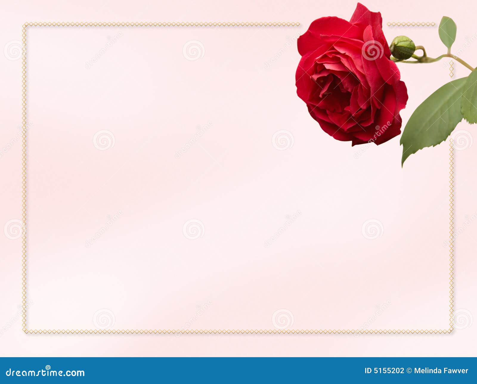 Rose Card stock illustration. Illustration of wedding - 5155202
