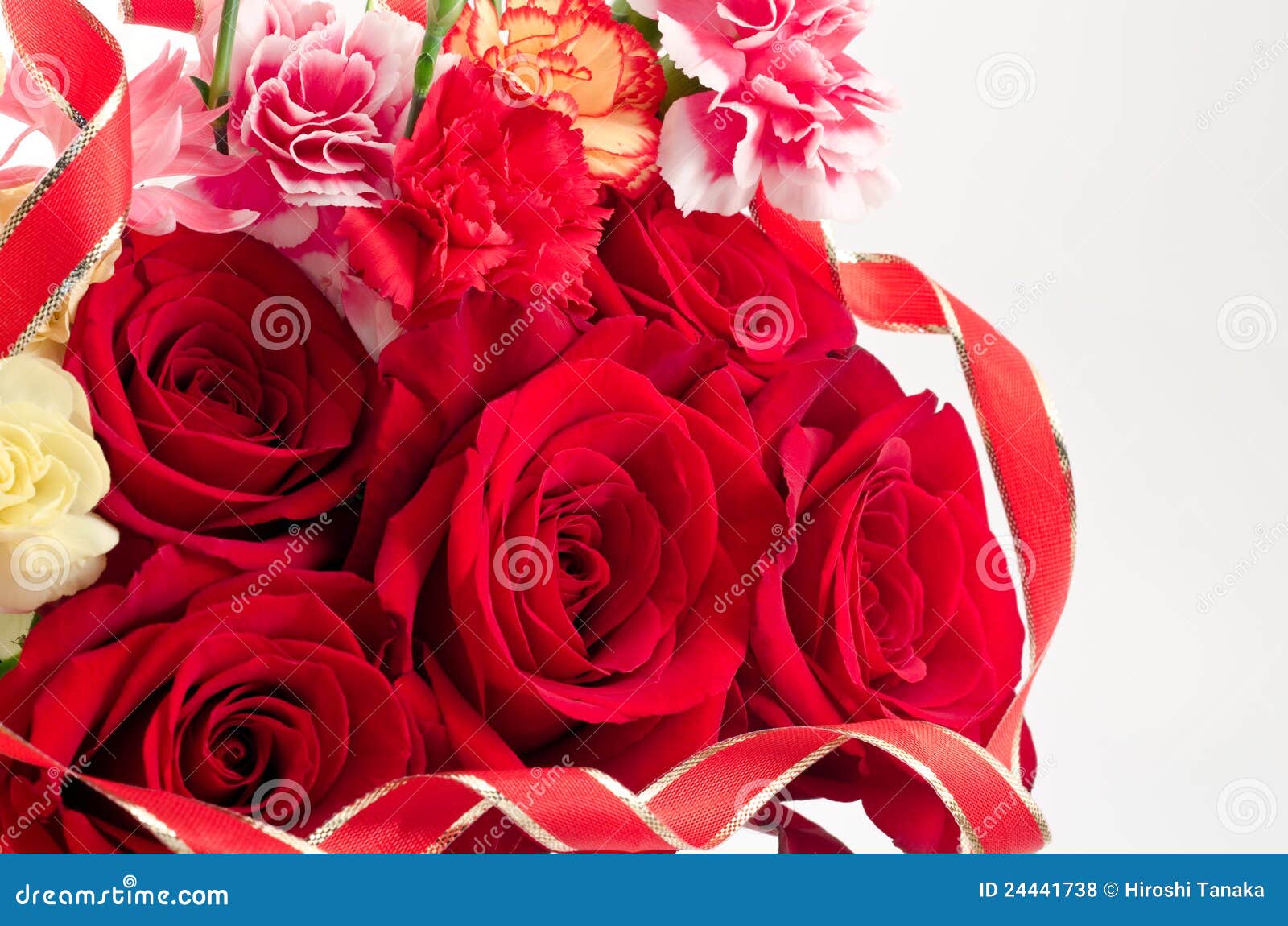 Rose and carnation stock photo. Image of bouquet, bloom - 24441738