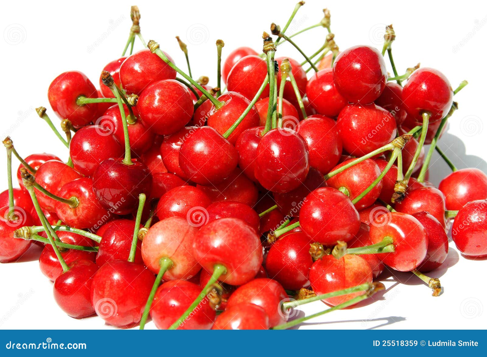 Rose cherries. stock image. Image of fruit, group, bunch - 25518359