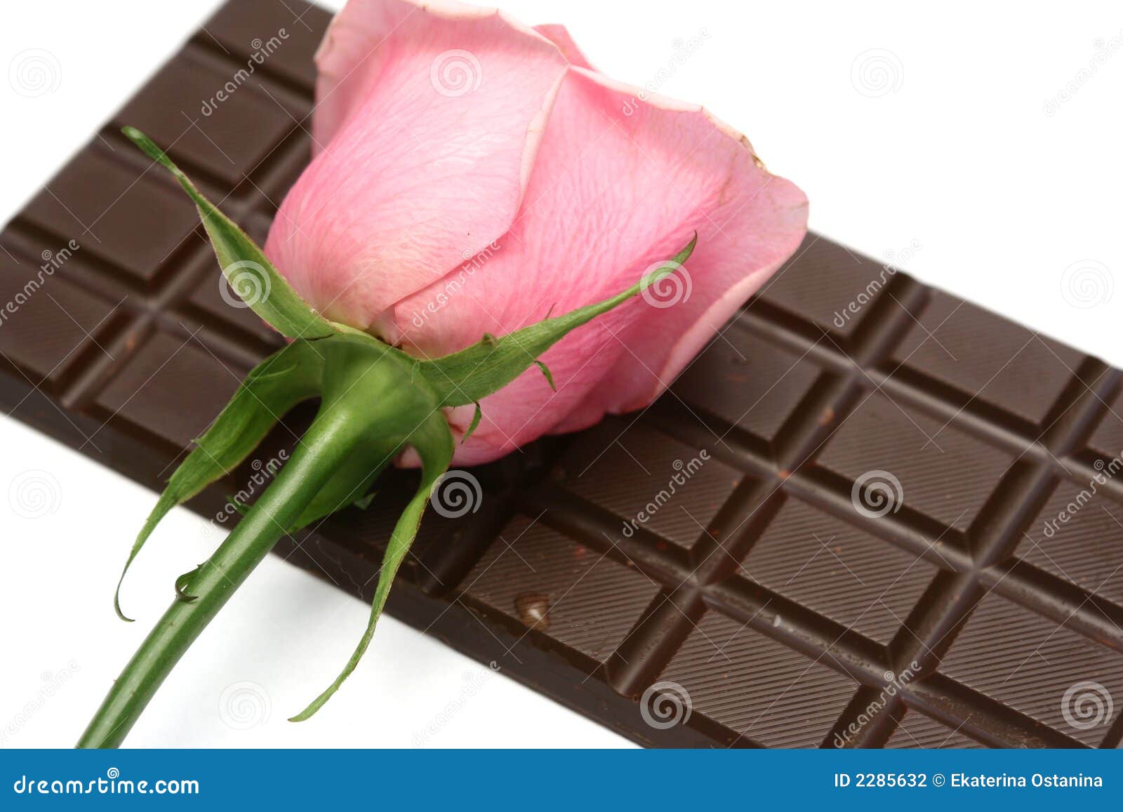 Rose and chocolate stock photo. Image of flower, petals - 2285632