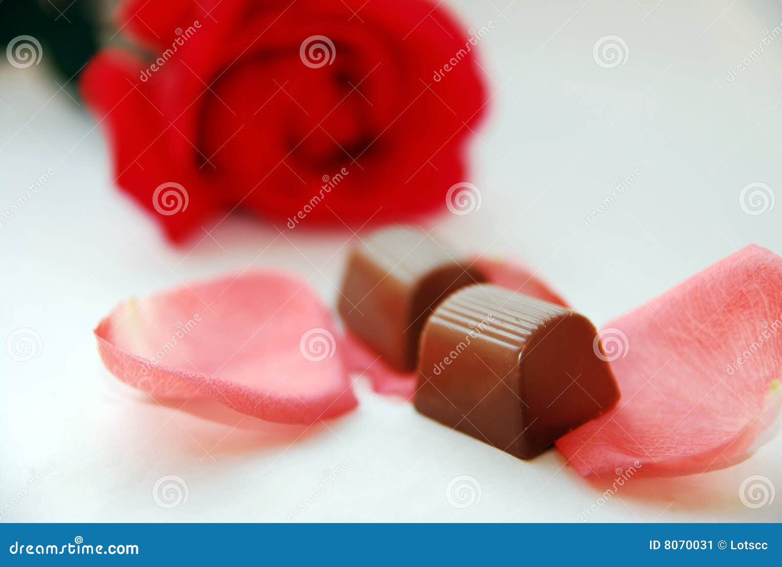 Rose and chocolates stock image. Image of special, occasion - 8070031