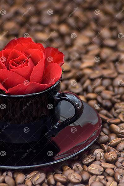 Rose and coffee stock image. Image of morning, rose, espresso - 7885361