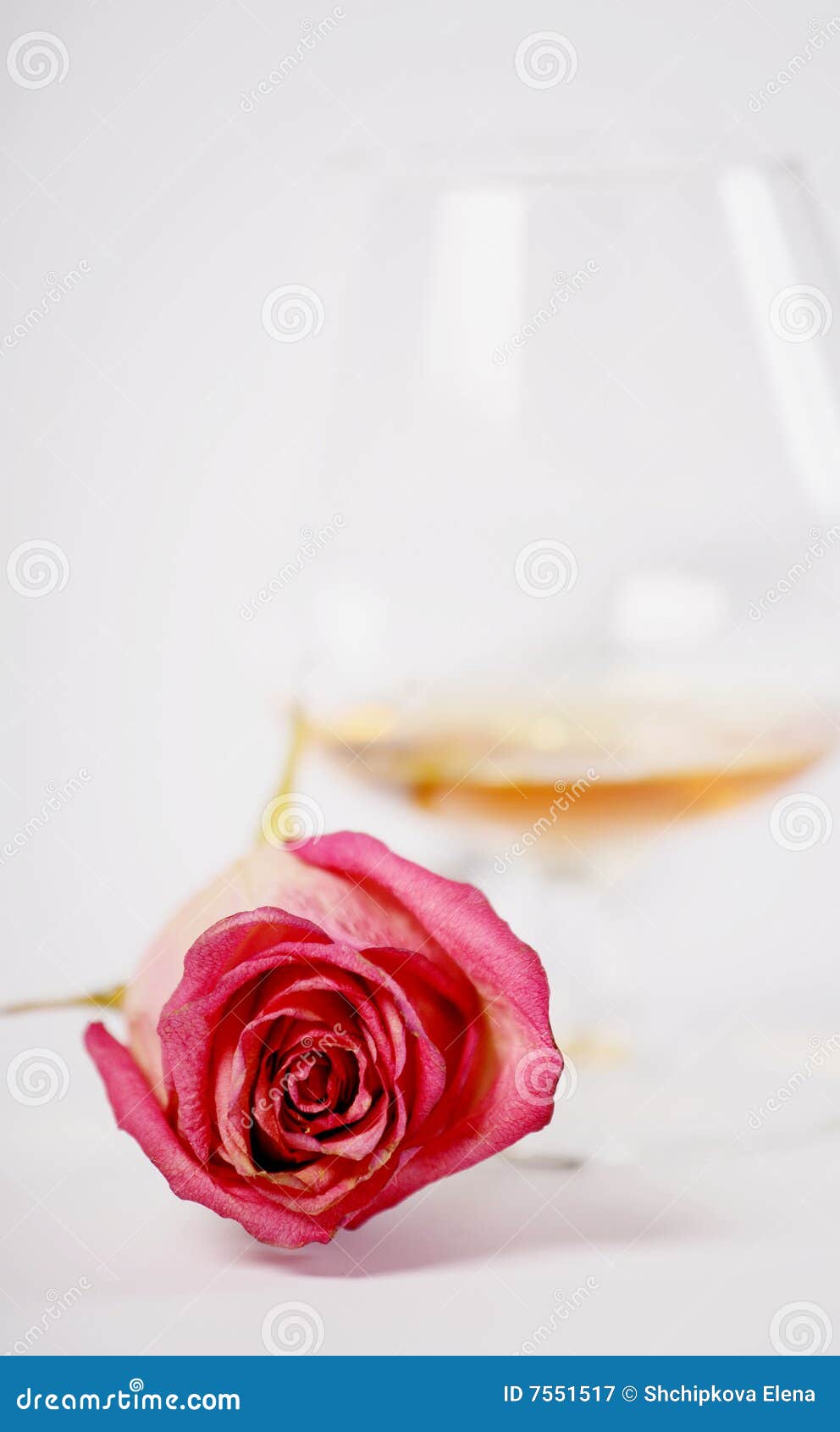 Rose and cognac stock image. Image of background, appointment - 7551517