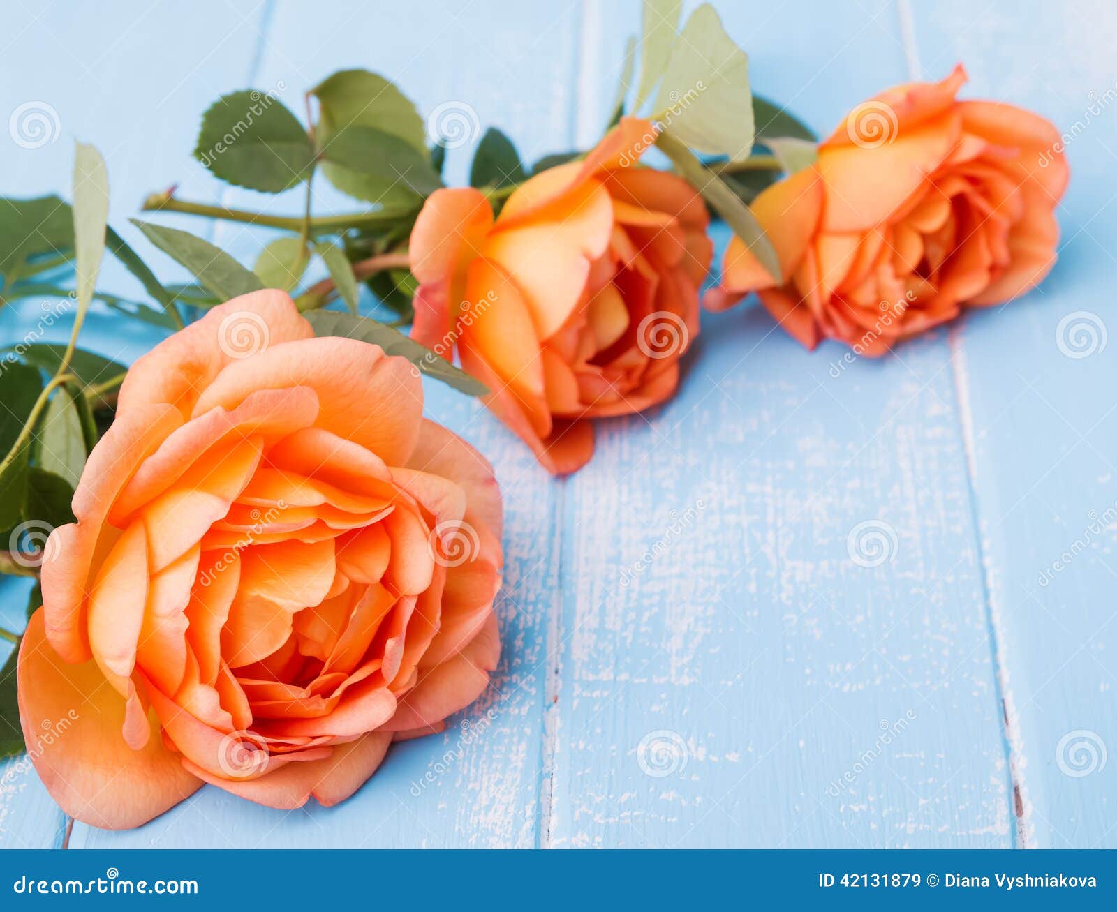 Rose Colorate Pesca Sulla Tavola Immagine Stock - Immagine di colore ...