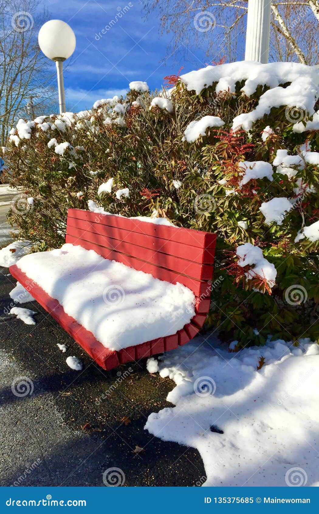 Rose Colored Bench with Snow and White Light Pole Stock Image - Image ...