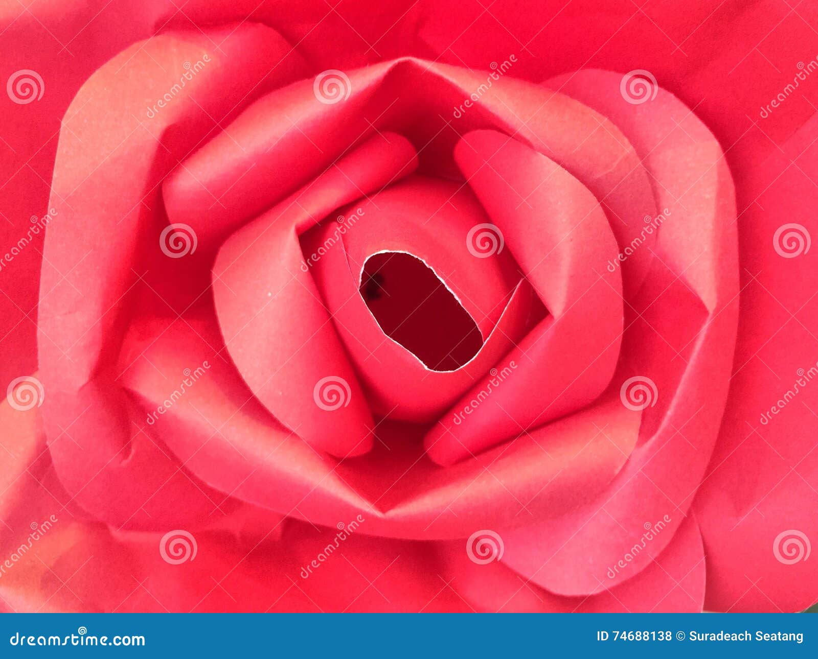Rose from colour paper stock photo. Image of bouquet - 74688138