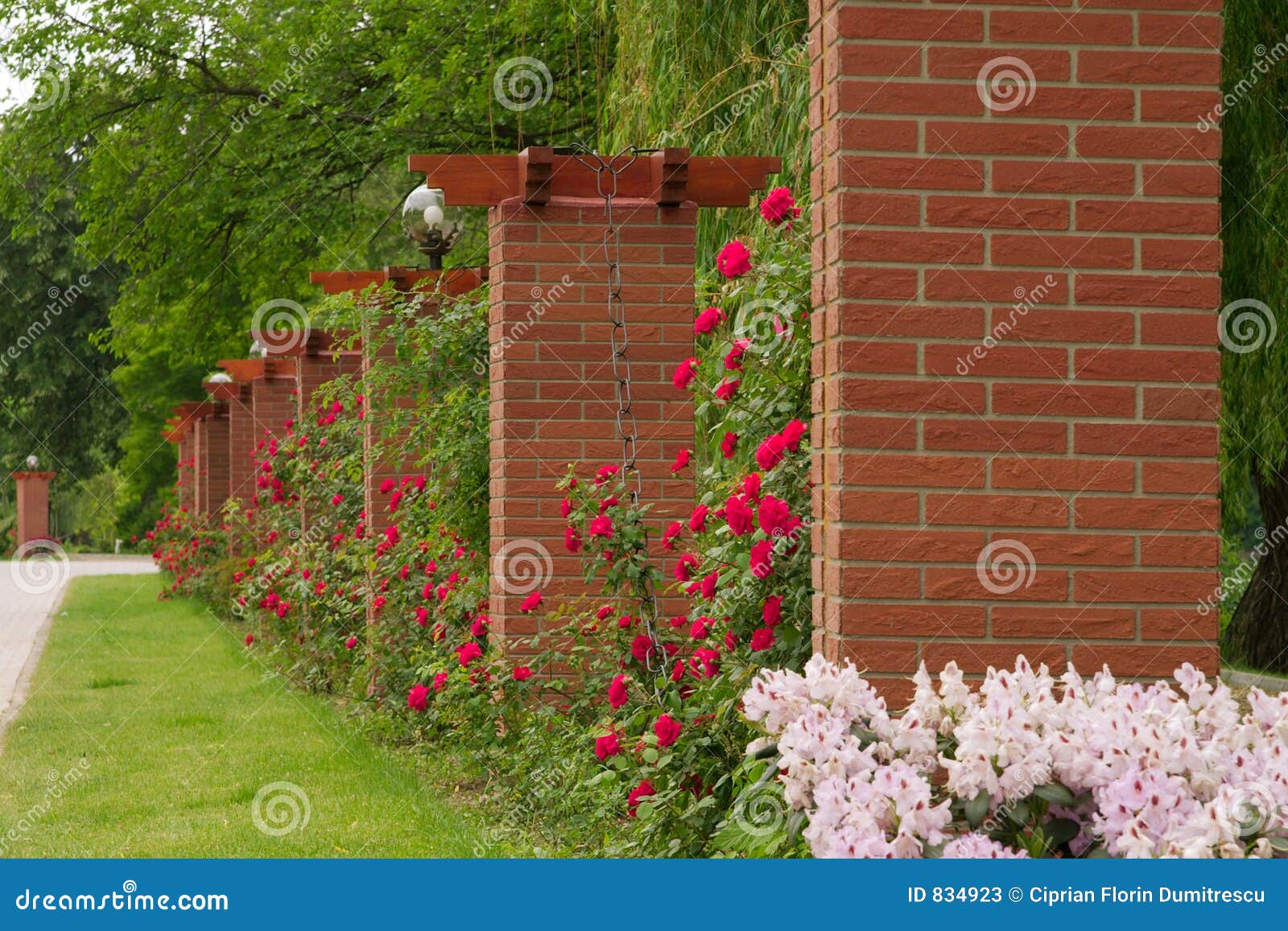 Rose columns landscape stock image. Image of park, place - 834923