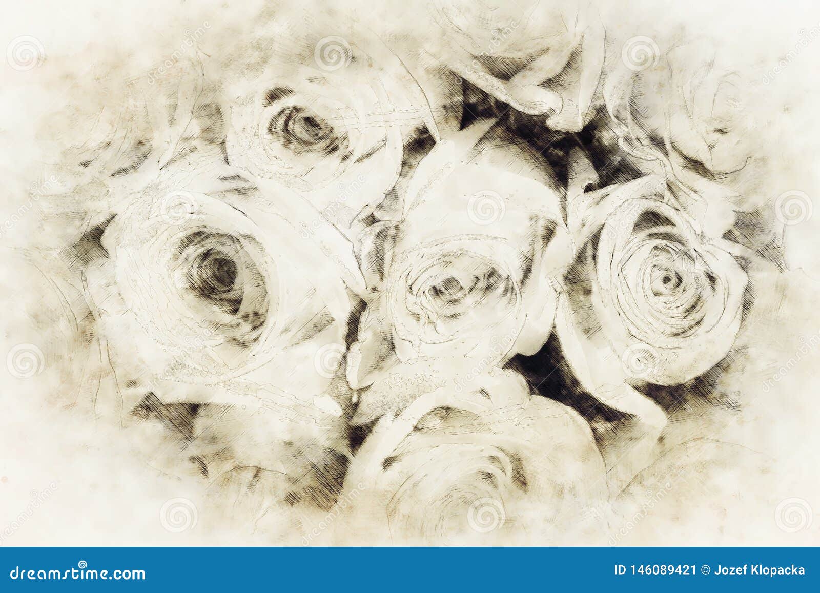 Rose And Computer Drawing Effect. Omputer Drawing Collage. Royalty-Free ...