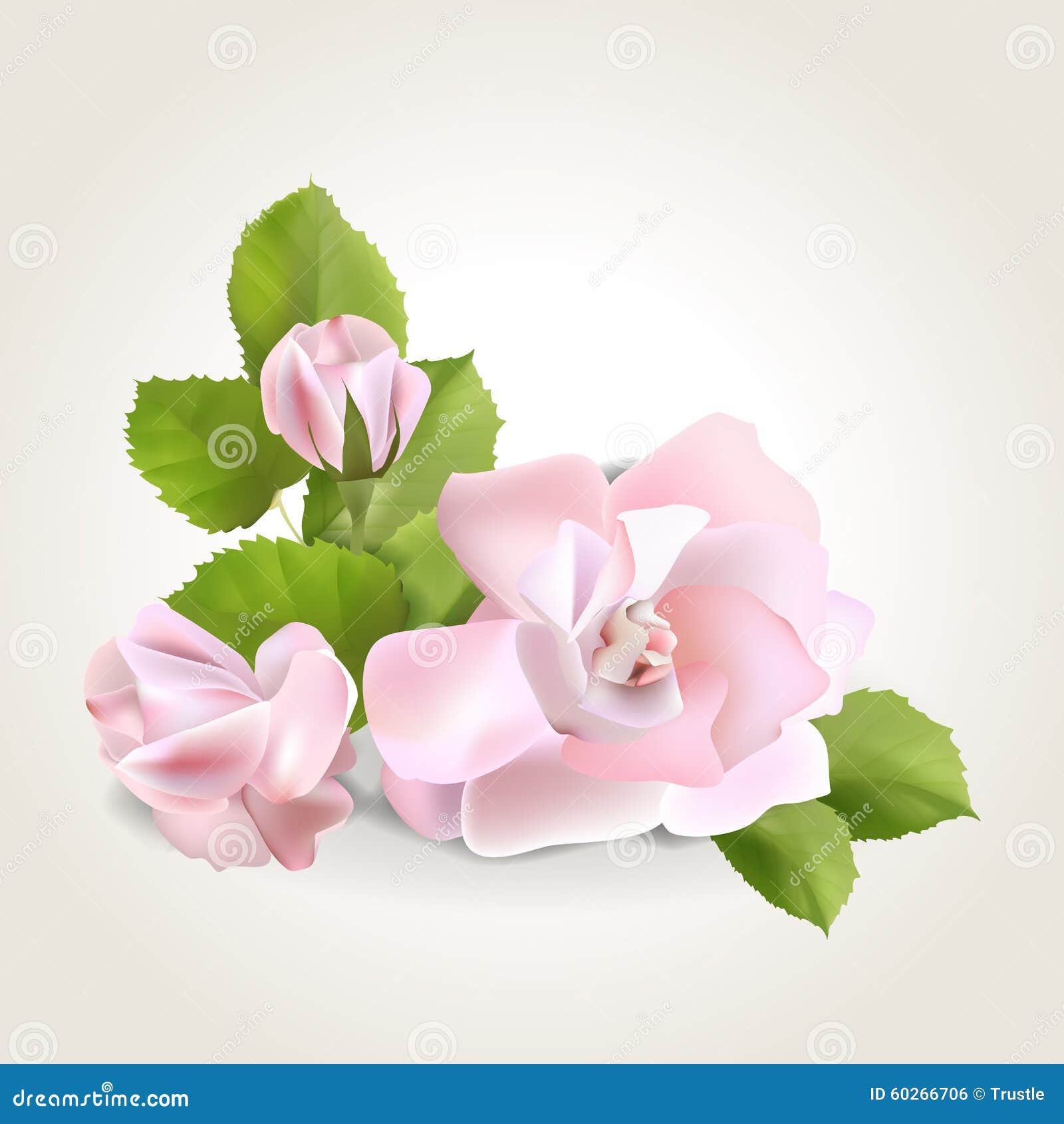 Rose corner stock vector. Illustration of pattern, corner - 60266706
