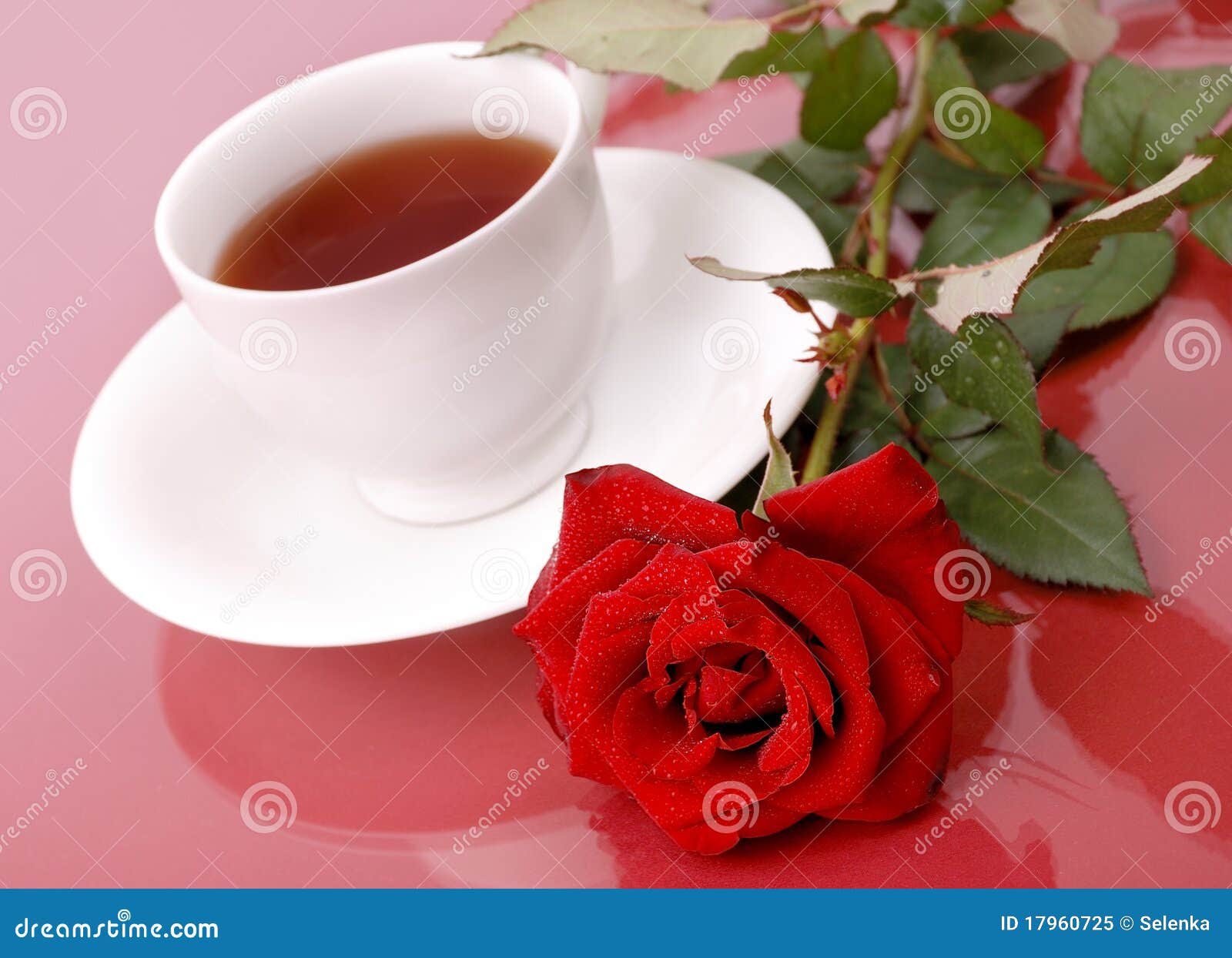 Rose with cup of tea. stock image. Image of object, leaf - 17960725