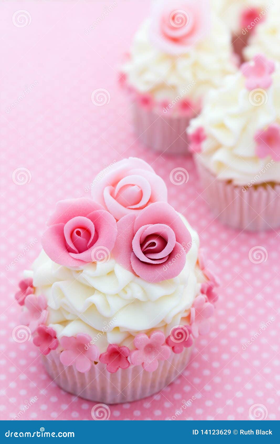 Rose cupcakes stock image. Image of roses, iced, polka - 14123629